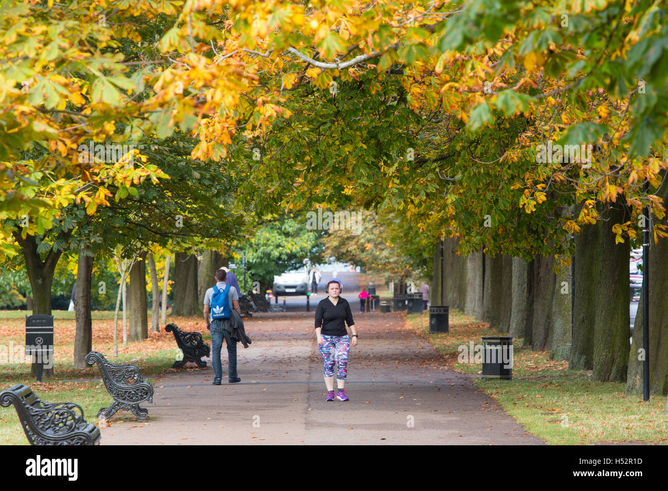 Autumn Scene in Greenwich Park Stock Photo - Alamy