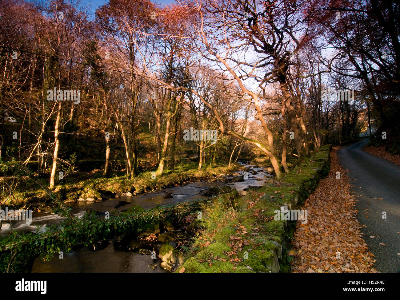 Llanbedr hi-res stock photography and images - Alamy