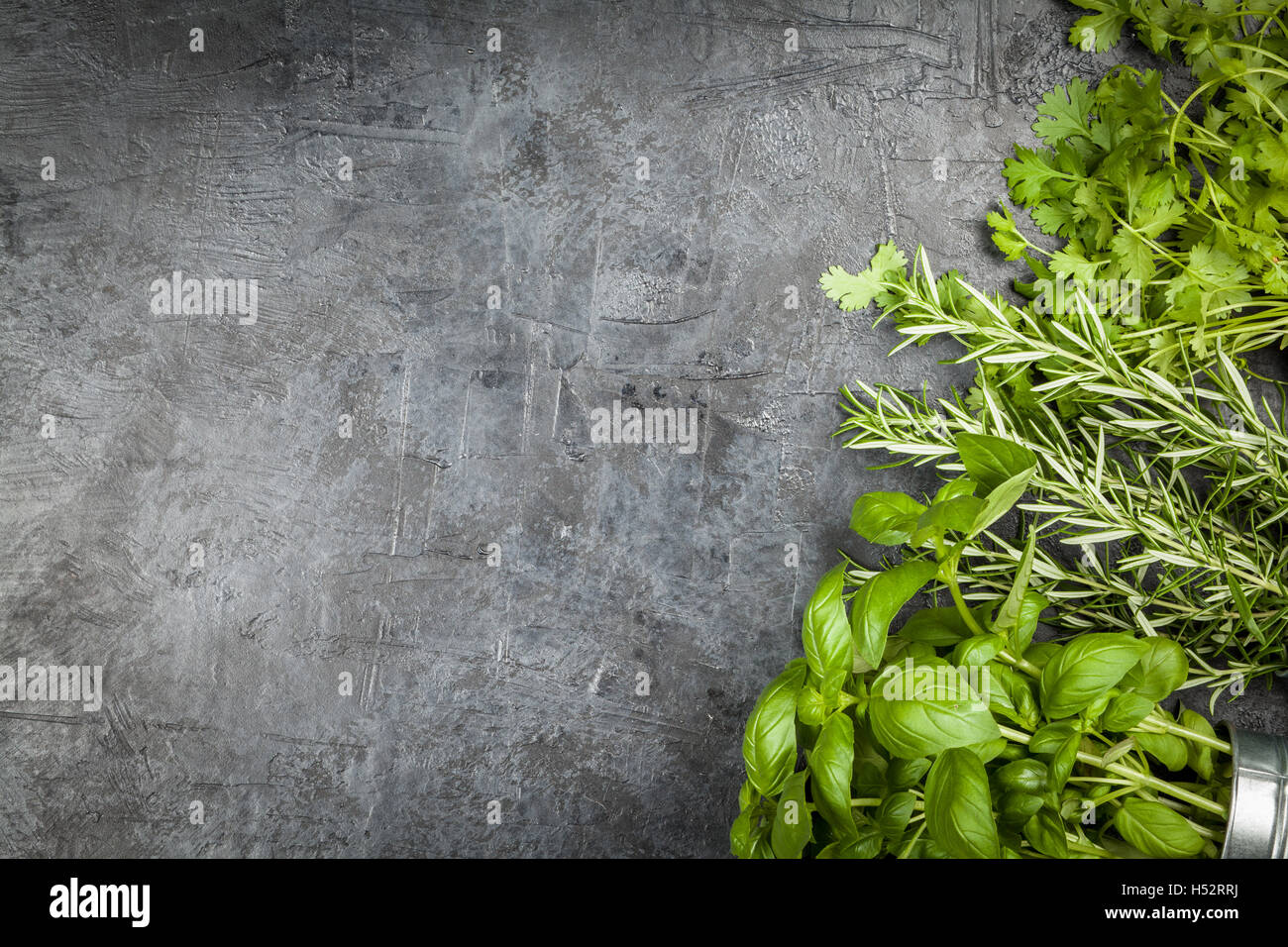 Fresh herbs on grey background Stock Photo - Alamy