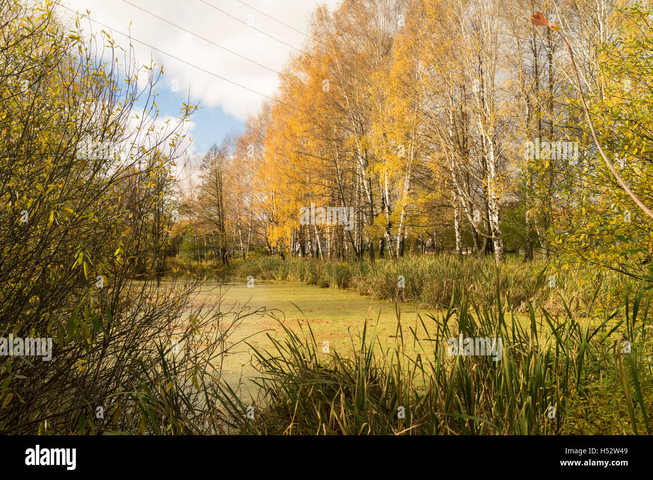 Rural landscape with pond beside villages at autumn time of the year ...