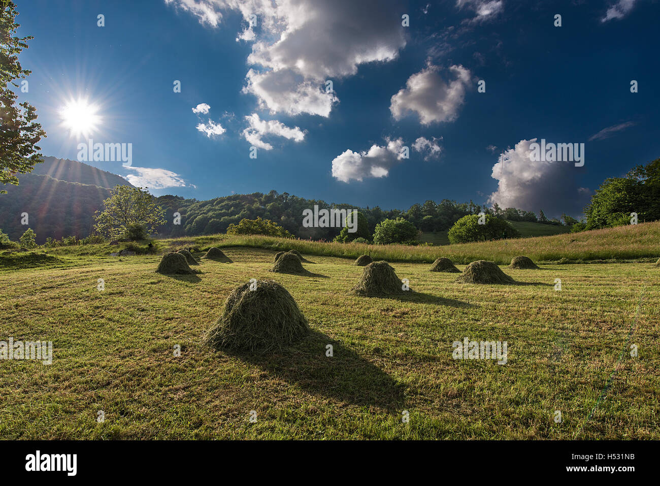 Hay Bale hand made Stock Photo - Alamy