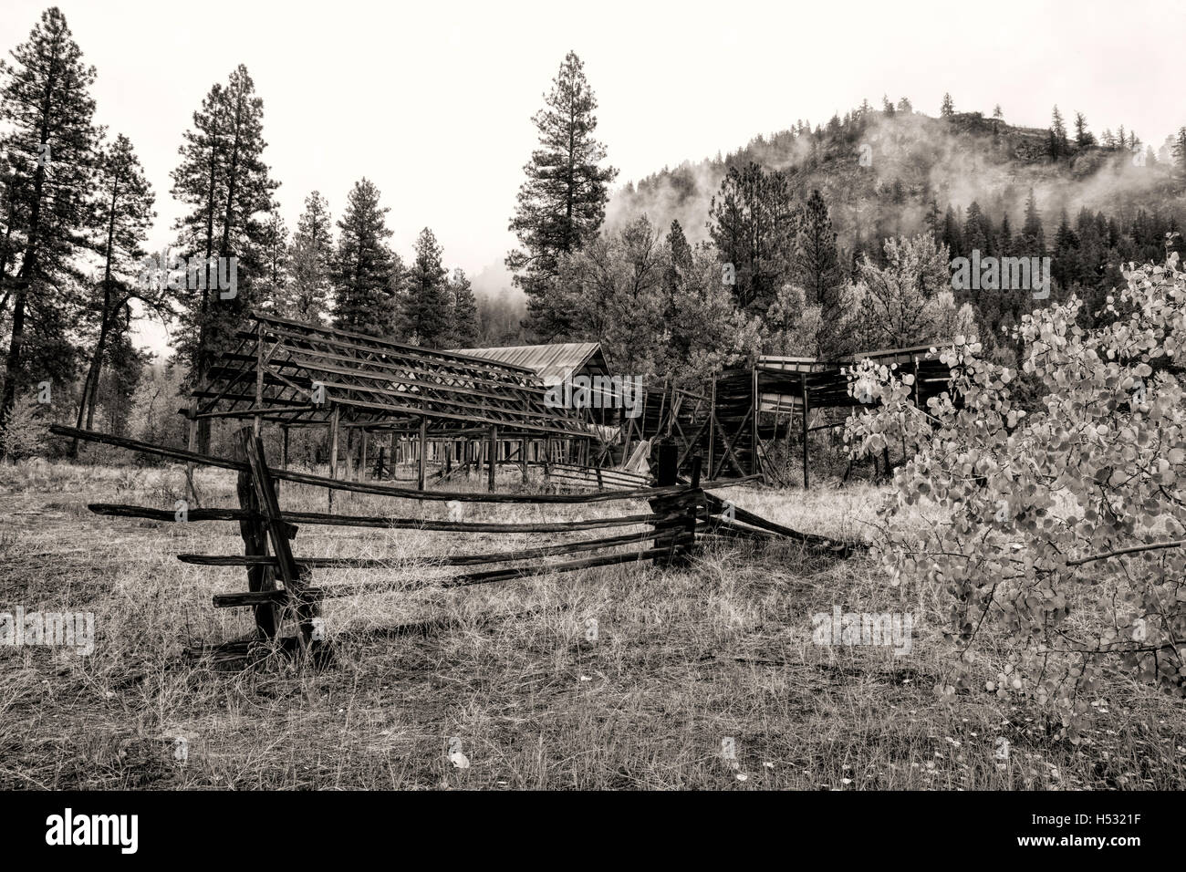 Old rundown barn hi-res stock photography and images - Alamy