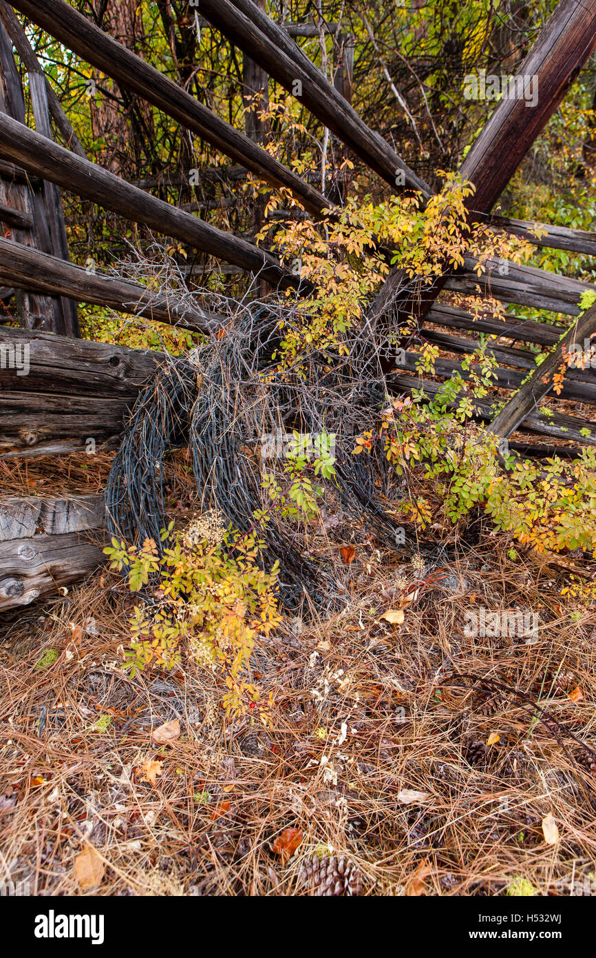 Wire next to ramp Stock Photo - Alamy