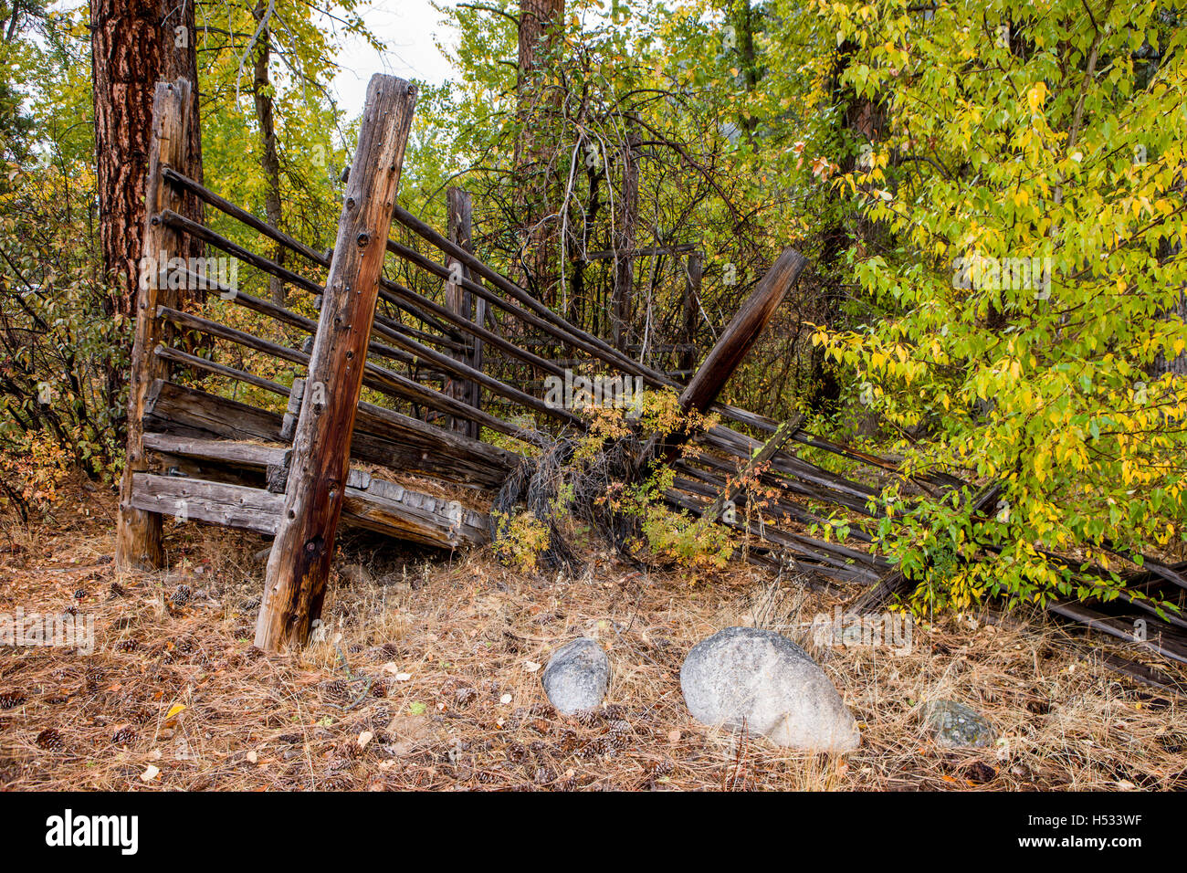 Old livestock ramp Stock Photo - Alamy