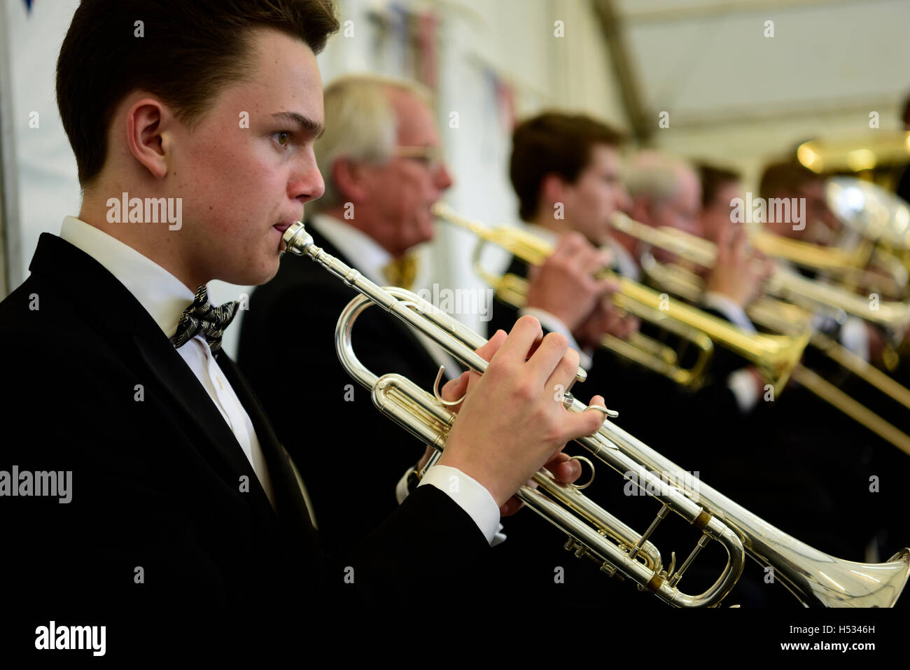 Orchestral instruments hi-res stock photography and images - Alamy