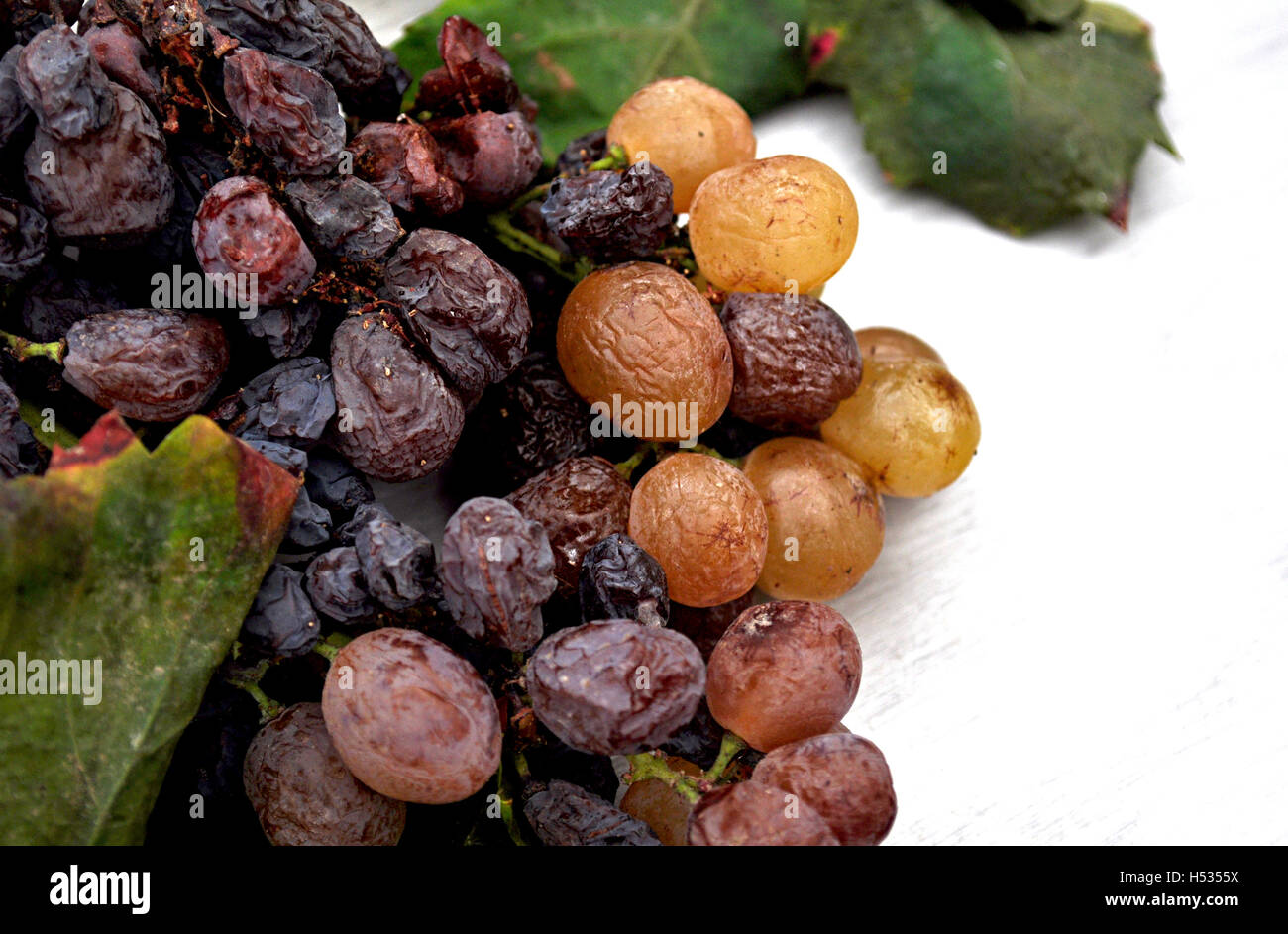 bunch of dried grapes Stock Photo - Alamy
