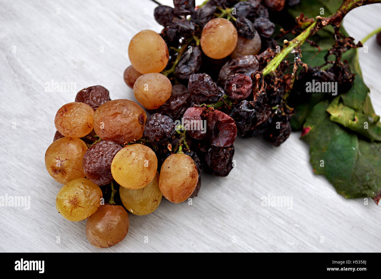 bunch of dried grapes Stock Photo - Alamy