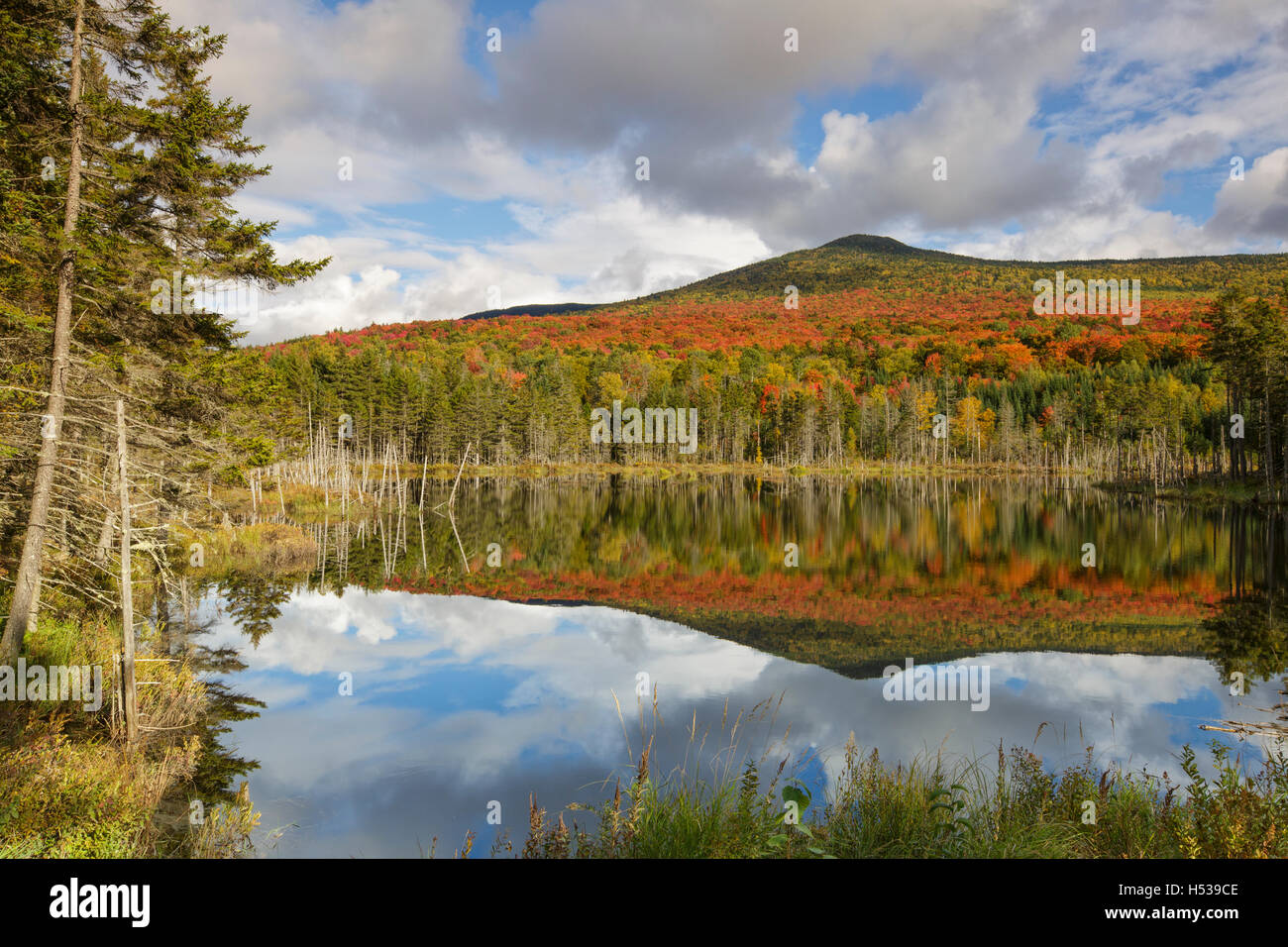Reflection of autumn foliage on Mount Deception in a small pond along ...