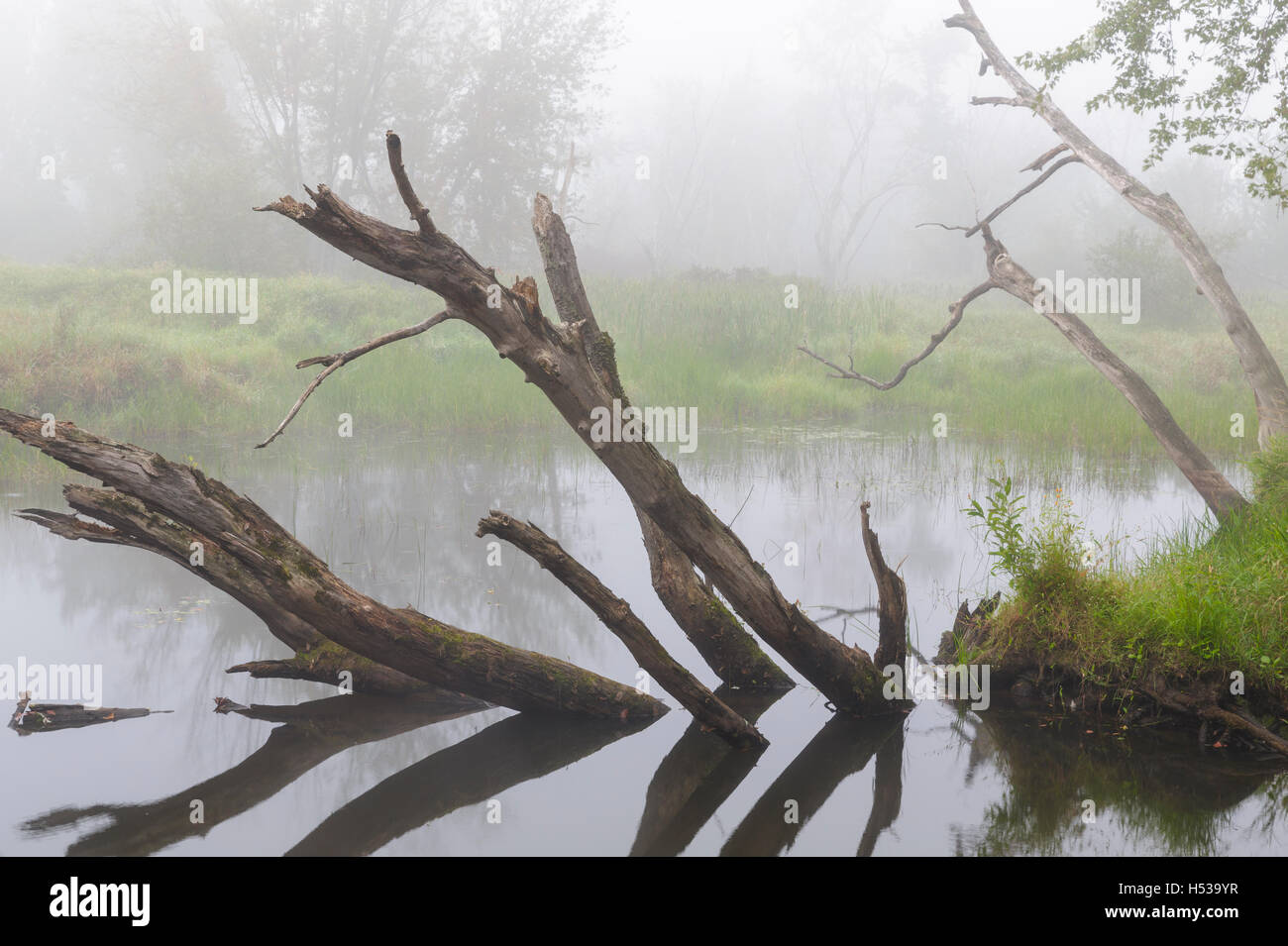 Bedell Bridge State Park in Haverhill, New Hampshire. This is a 38-acre ...