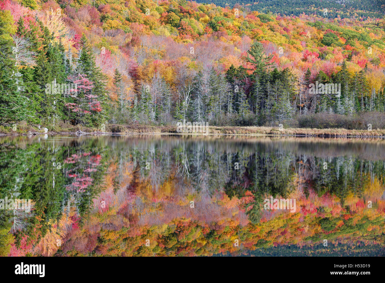 Reflection of autumn foliage in Kiah Pond in Sandwich, New Hampshire ...