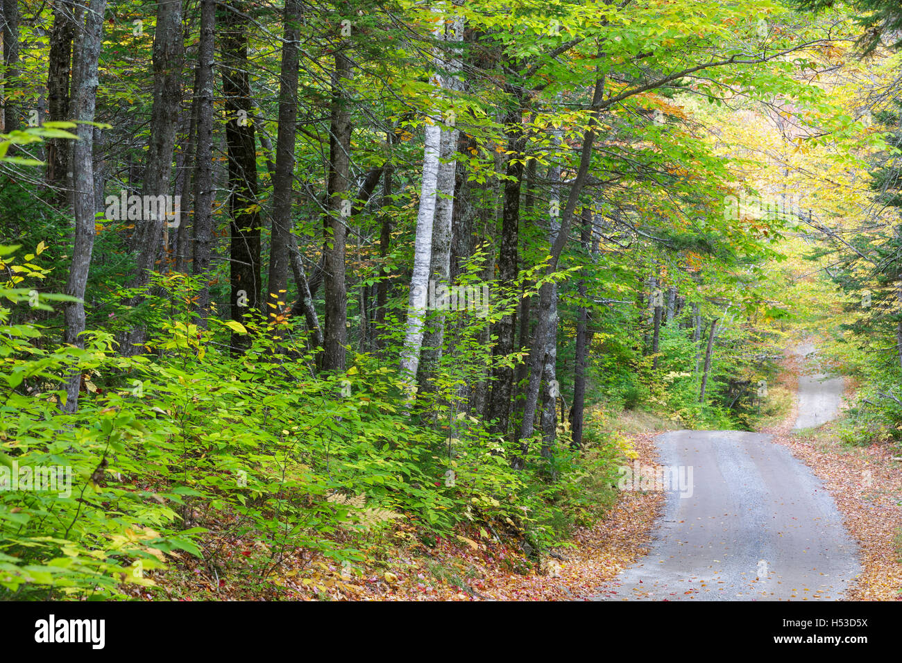 Sandwich Notch Road High Resolution Stock Photography and Images - Alamy