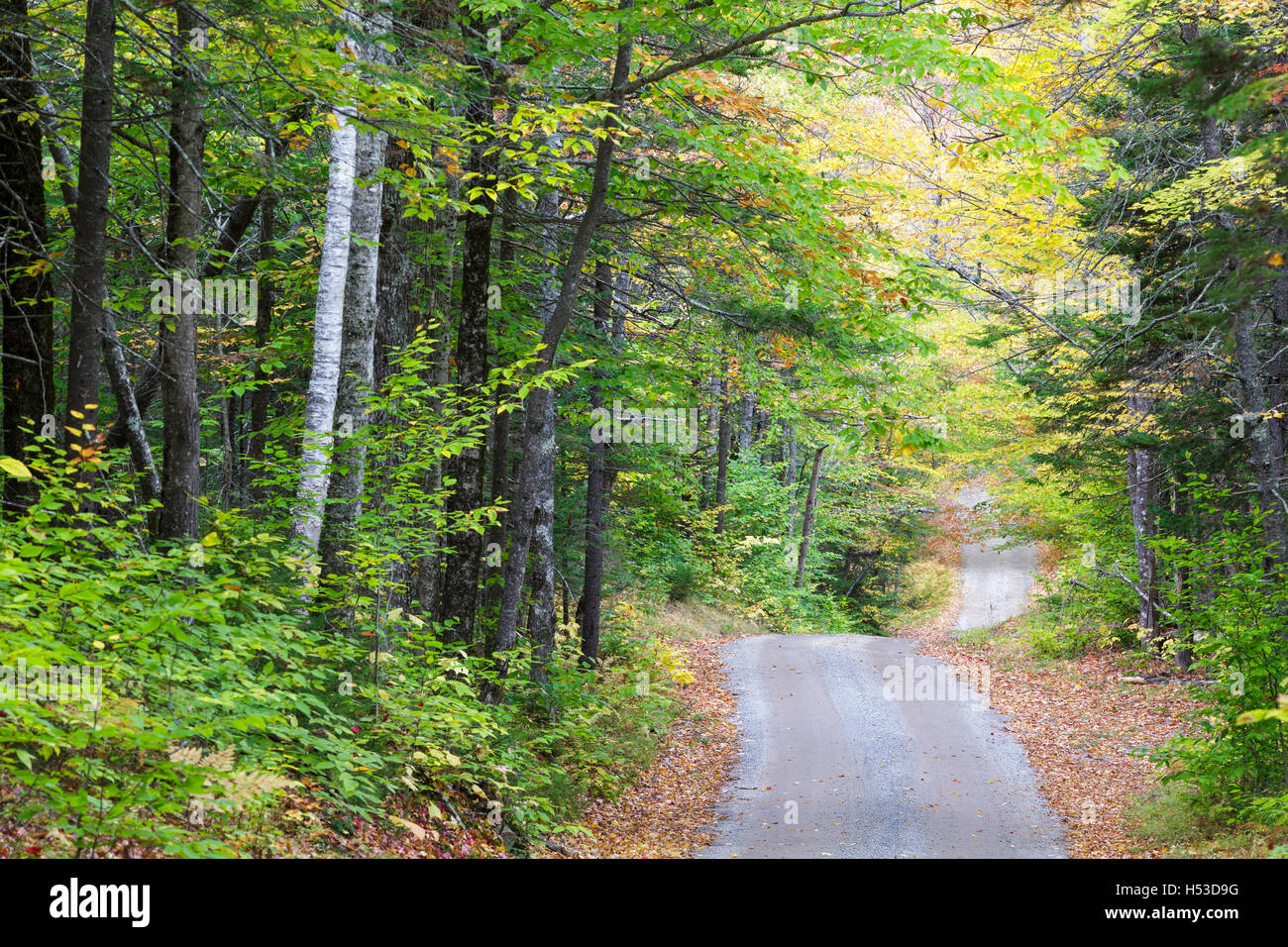 Sandwich Notch Road High Resolution Stock Photography and Images - Alamy