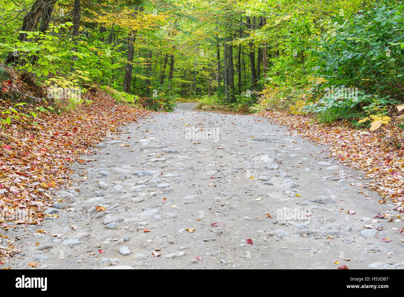 Sandwich Notch Road in Sandwich, New Hampshire during the autumn months ...