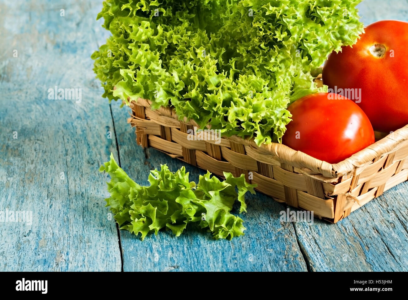Fresh green salad lola rossa and tomatoes on blue wooden background ...