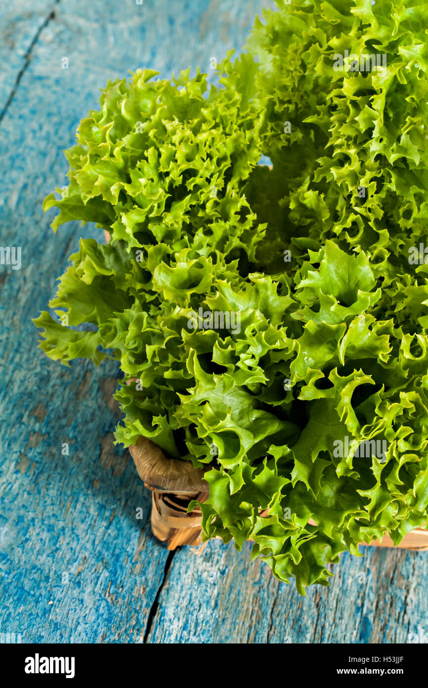 Fresh green salad lola rossa on a blue wooden background Stock Photo ...