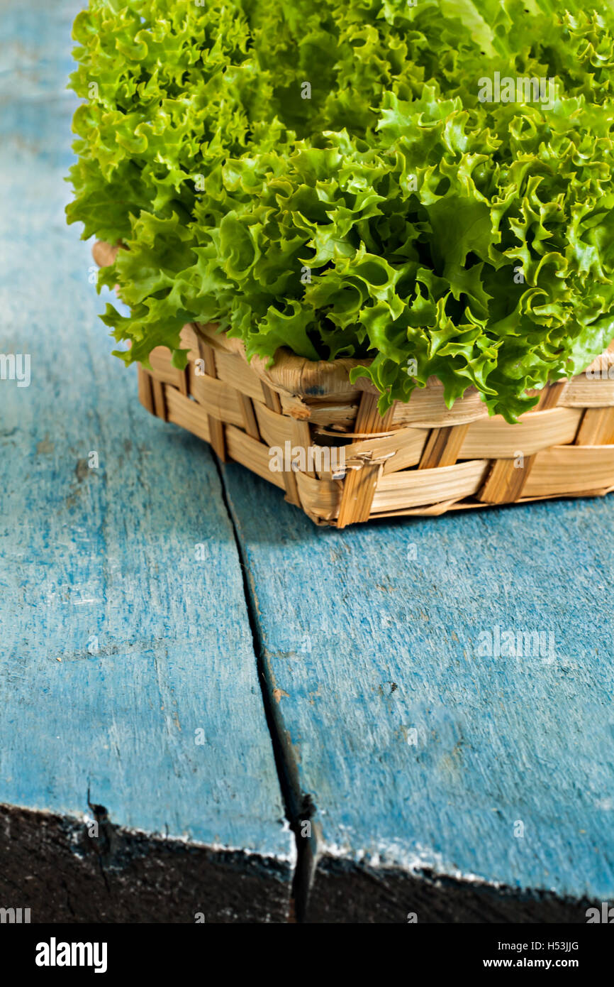 Fresh green salad lola rossa on a blue wooden background Stock Photo ...