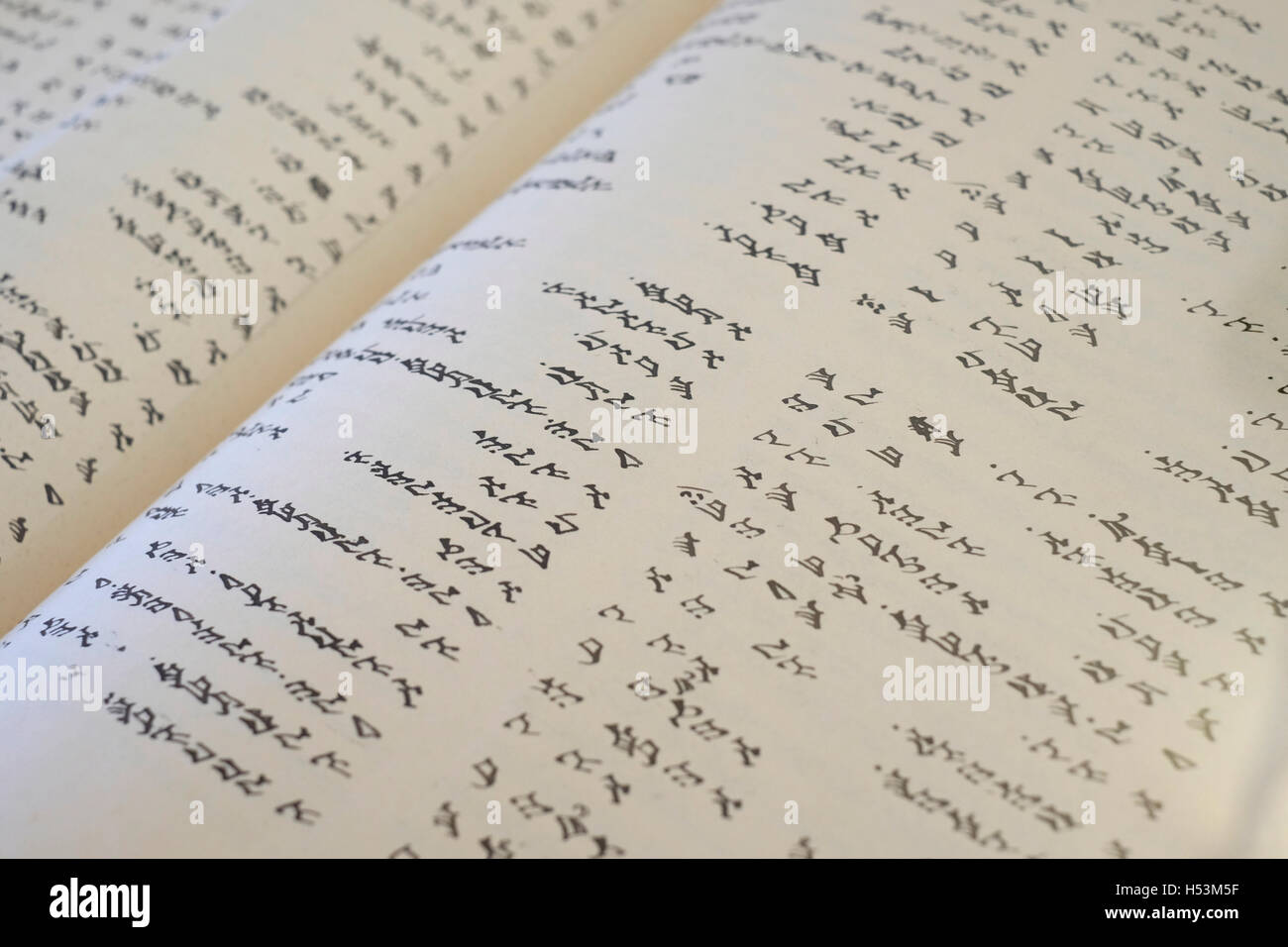 A Samaritan Prayer book written in ancient Hebrew displayed at the ...