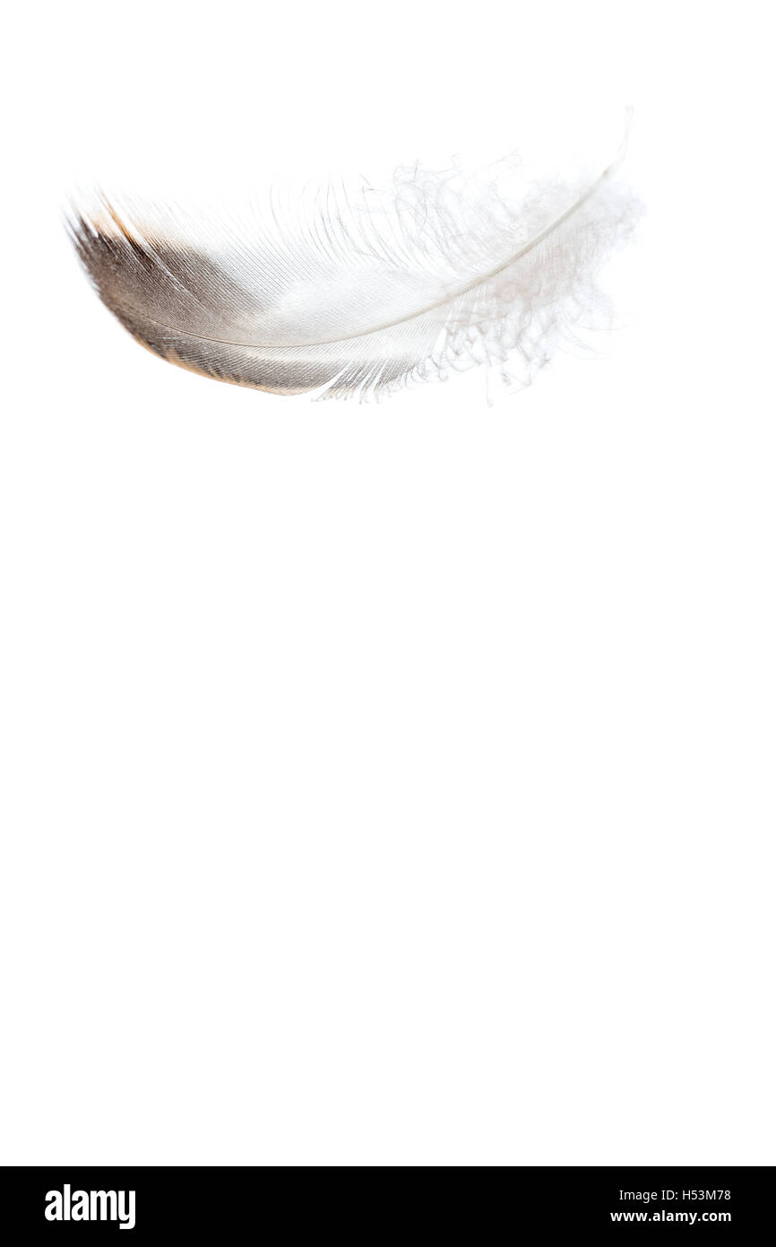 Copy space in the sky Cut Out Stock Images & Pictures - Alamy