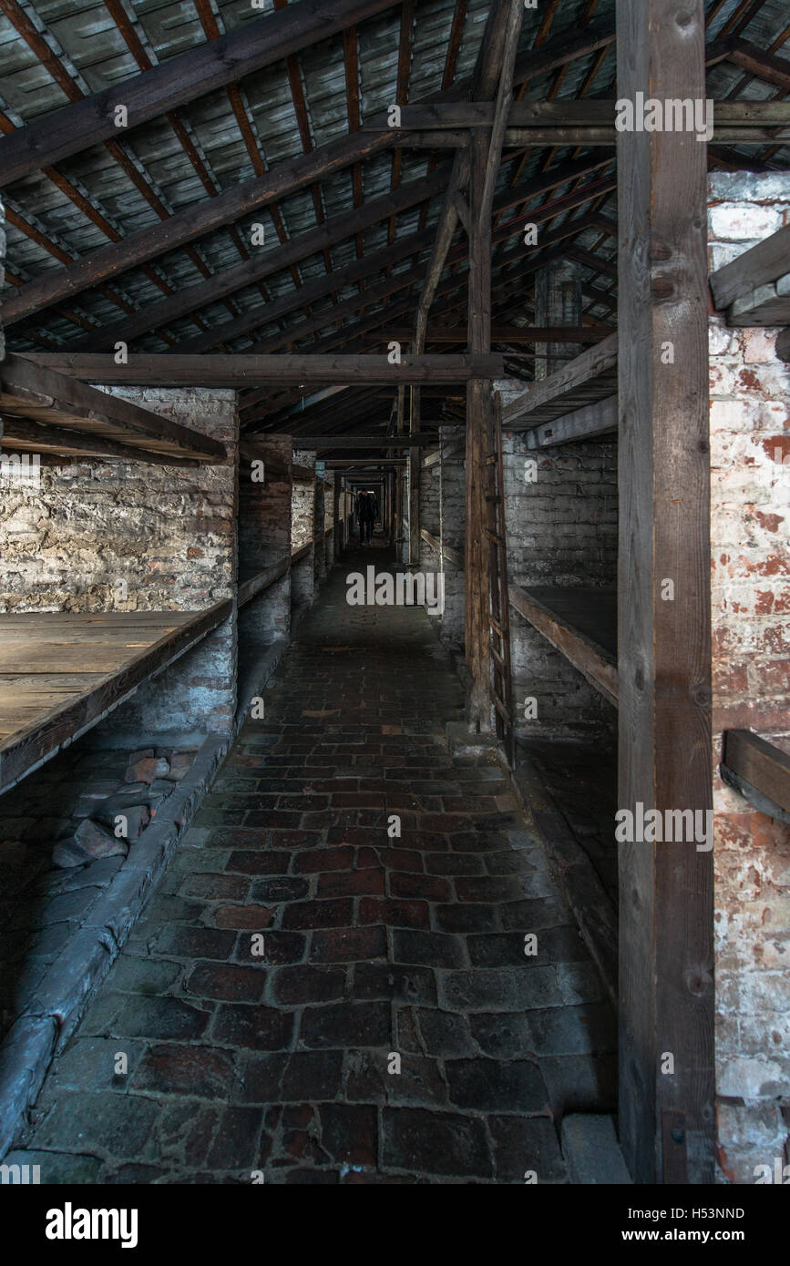 Inside of a barracks of the Nazi concentration camp Auschwitz Birkenau ...