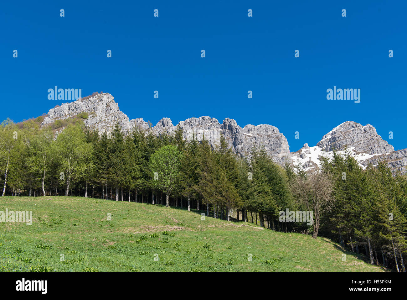 Italian limestone mountains of Alps above plants and lawns Stock Photo ...