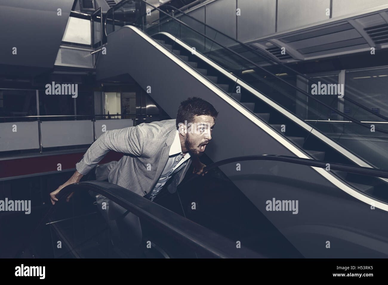 Scared Away High Resolution Stock Photography and Images - Alamy