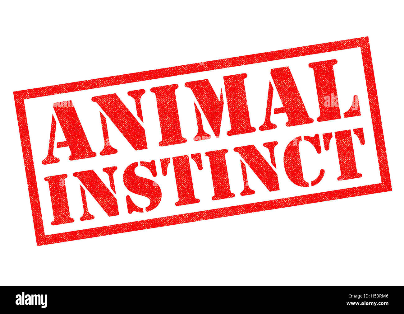 ANIMAL INSTINCT red Rubber Stamp over a white background Stock Photo ...