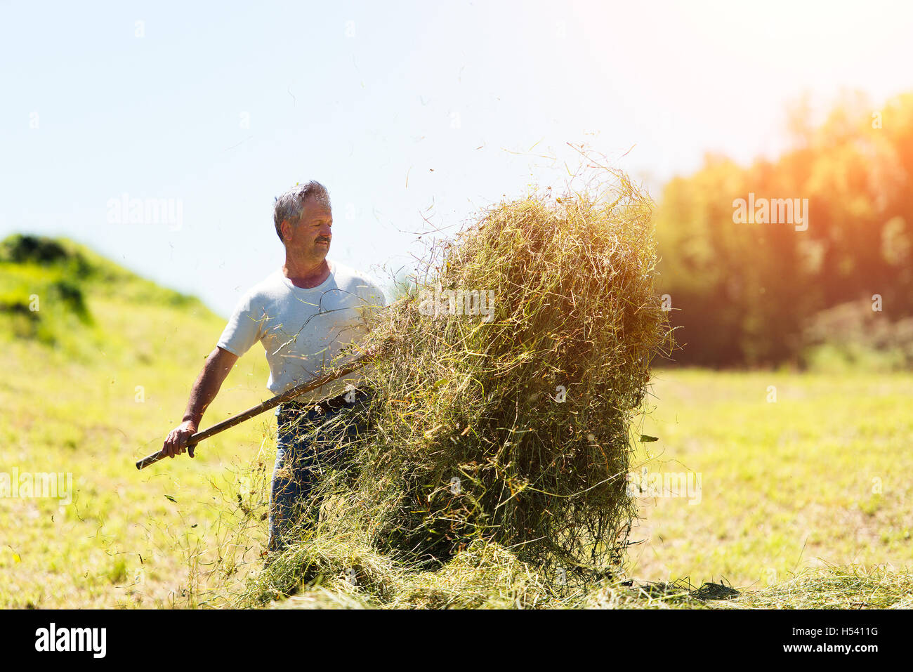 Man farmer turns the hay with a hay fork in the italians alps Stock ...