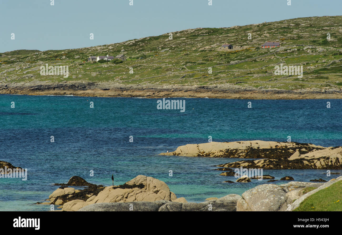 View of dogs bay hi-res stock photography and images - Alamy