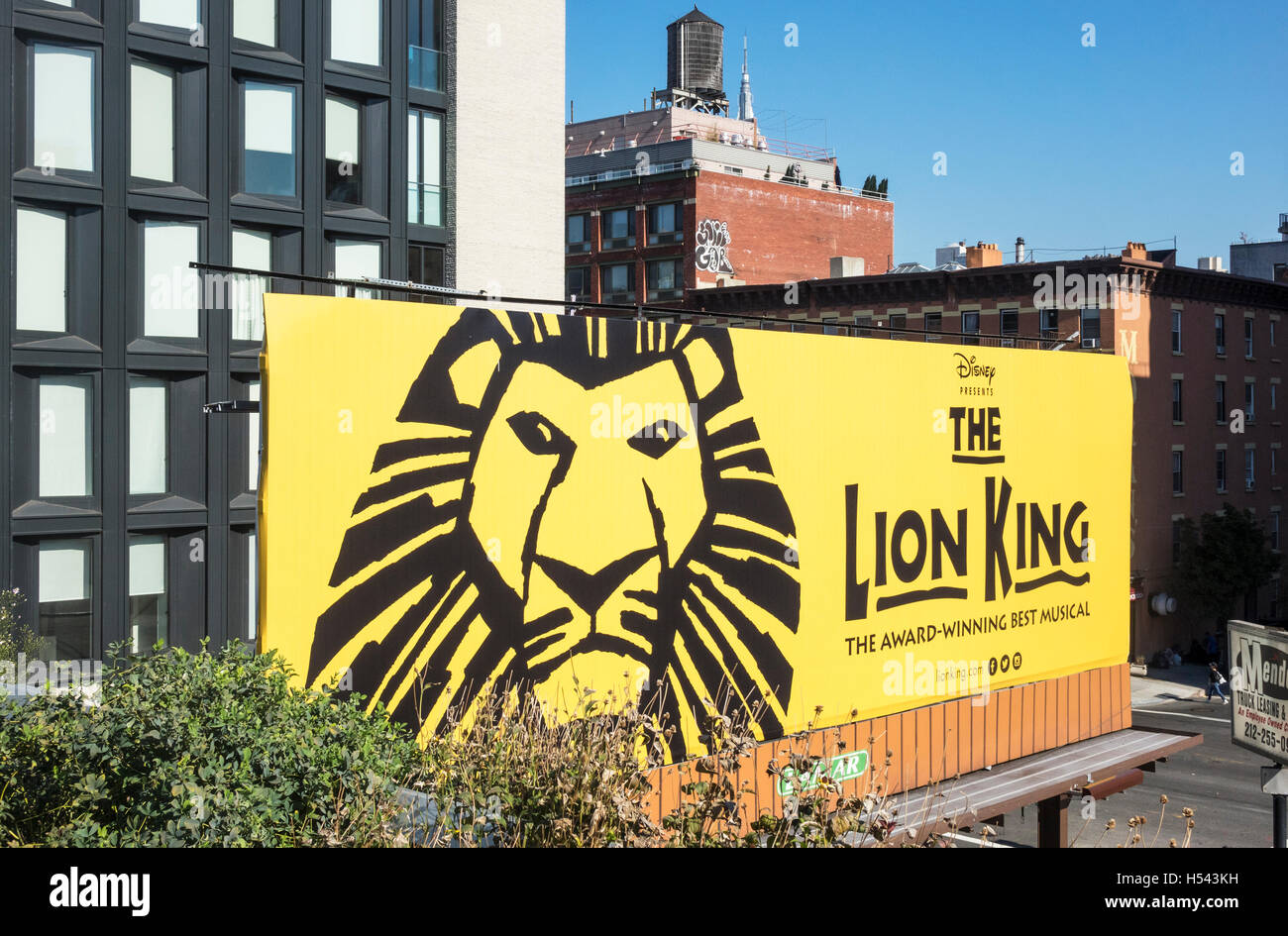 Large The Lion King bulletin board in Chealse in New York City Stock ...
