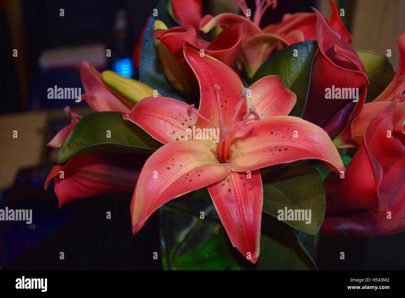 Group of flowers Stock Photo - Alamy