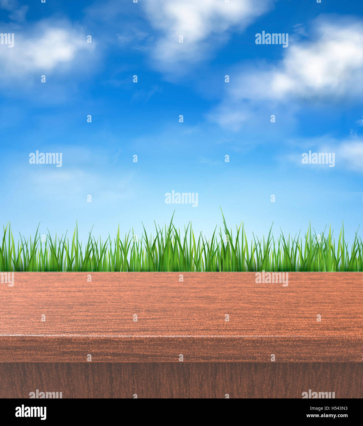 blue sky and field of green grass background, 3d rendering wood plate ...