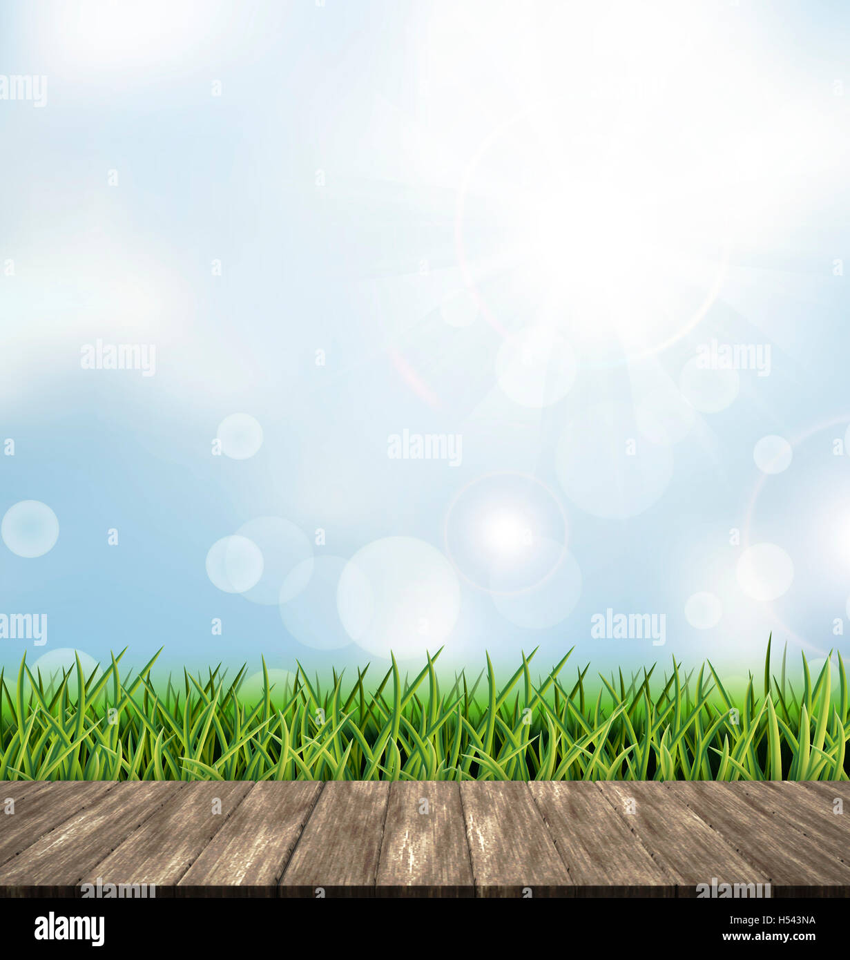 close-up look at natural grass background, 3d rendering wood plate ...