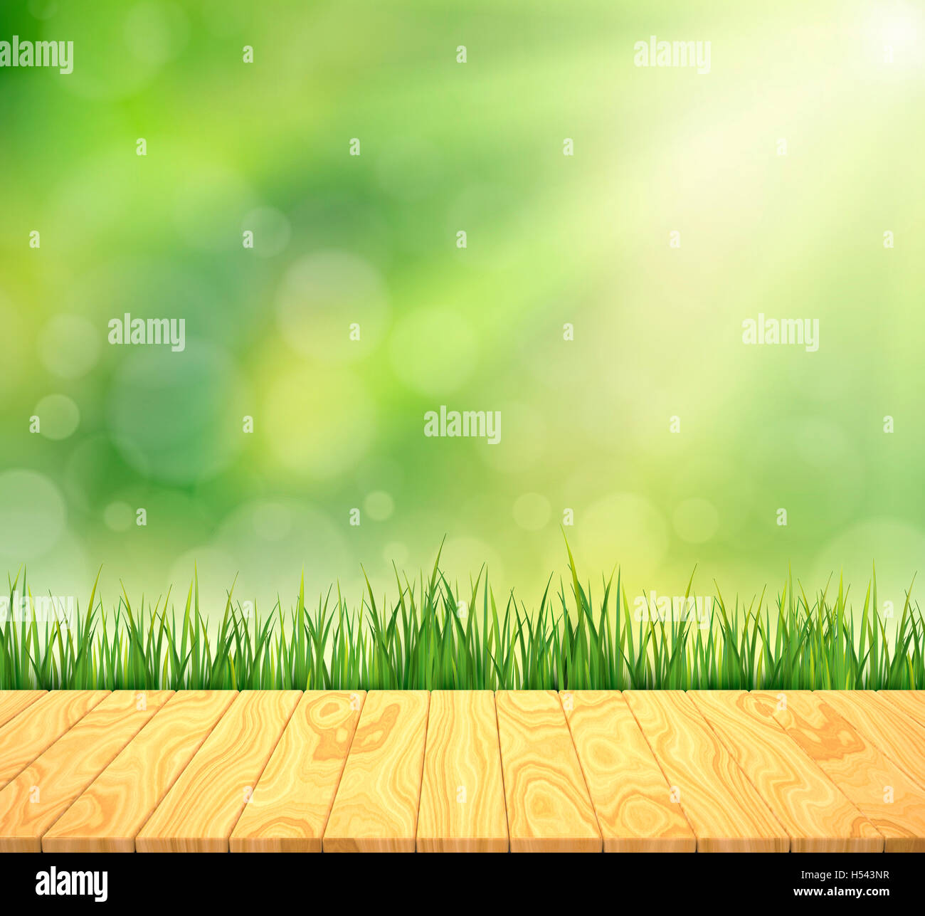 close-up look at natural grass background, 3d rendering wood plate with ...