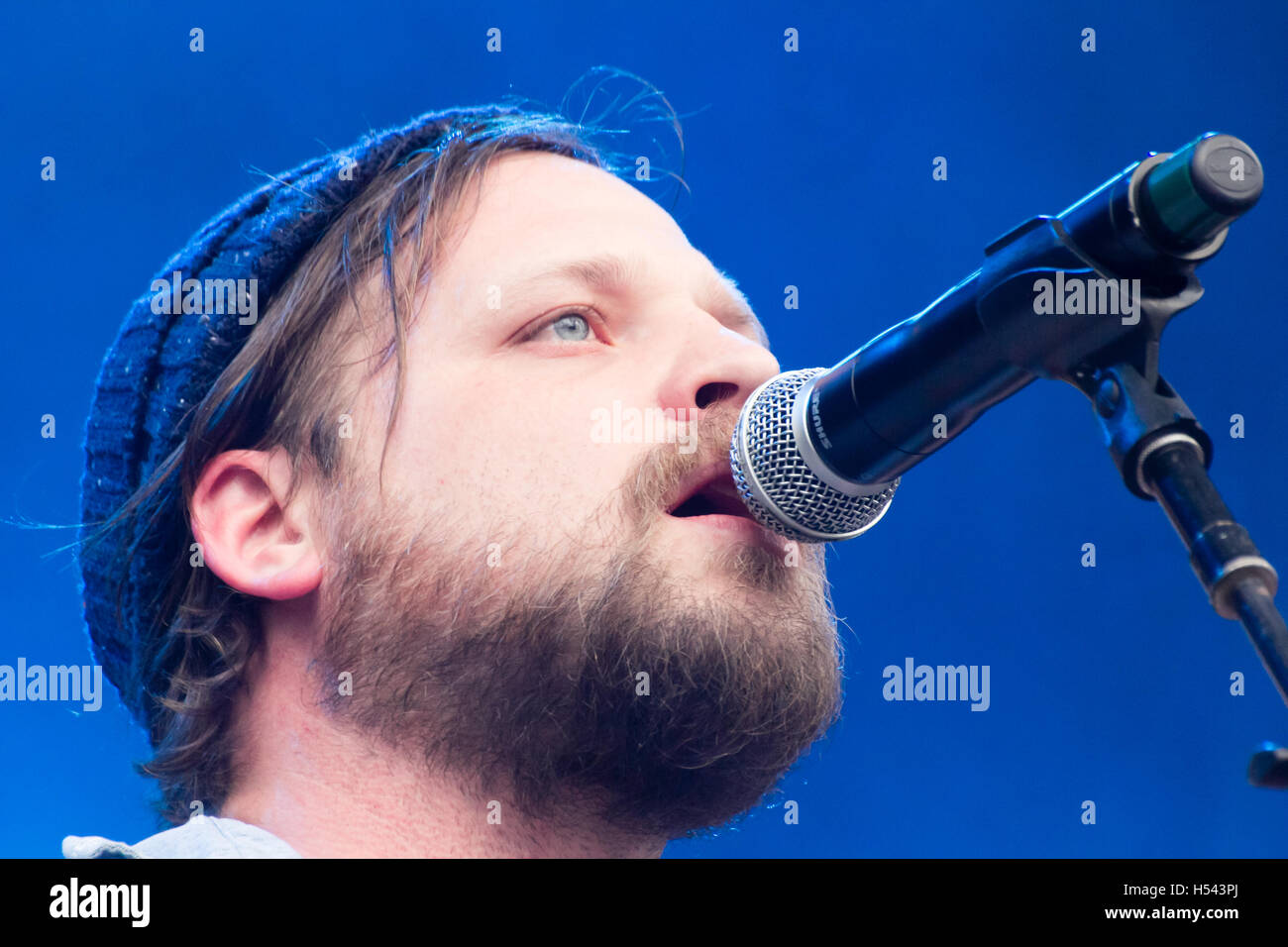 Dr dog band hi-res stock photography and images - Alamy