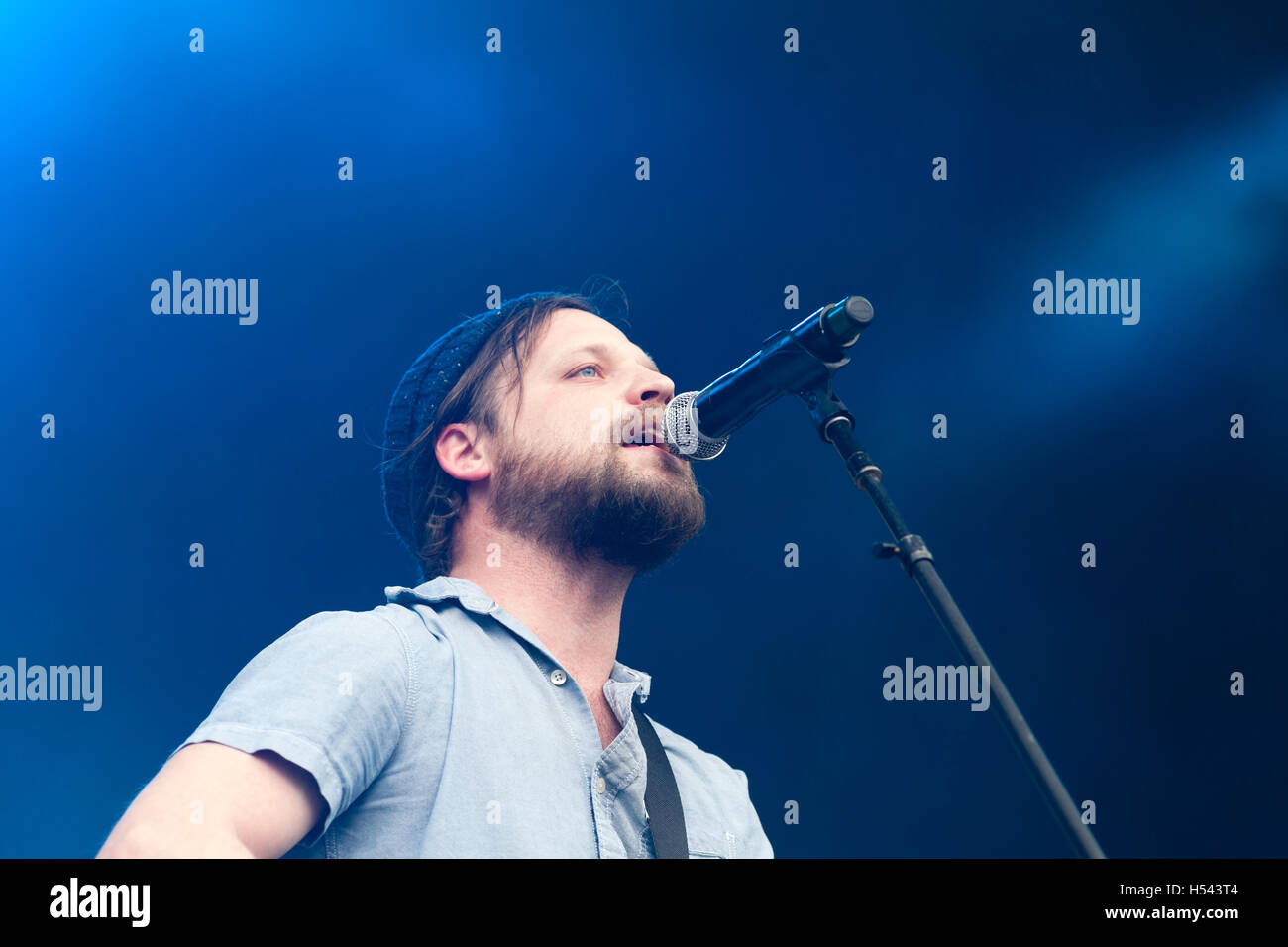 Toby the dog hi-res stock photography and images - Alamy