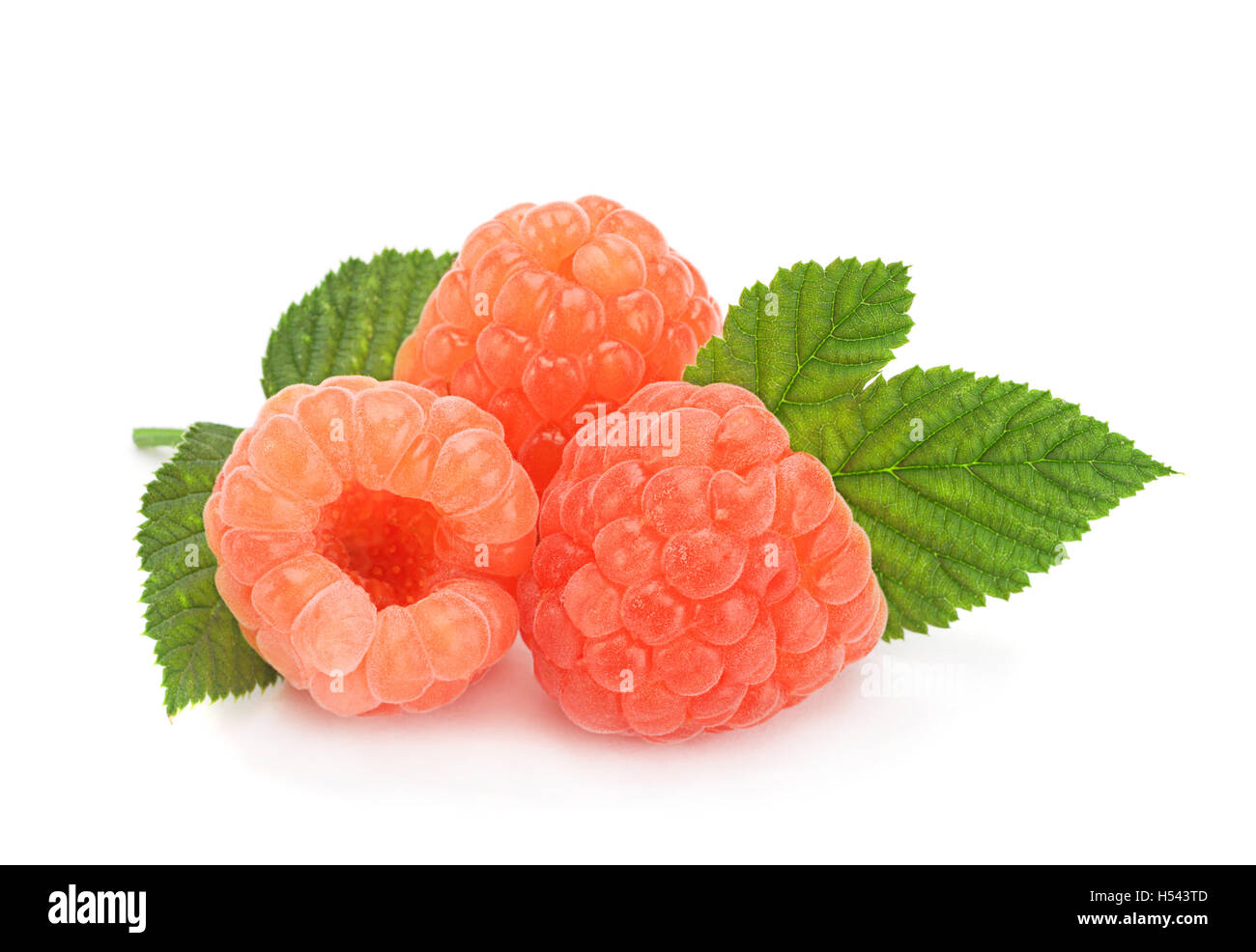 Rose raspberry fruit closeup isolated on white background Stock Photo ...