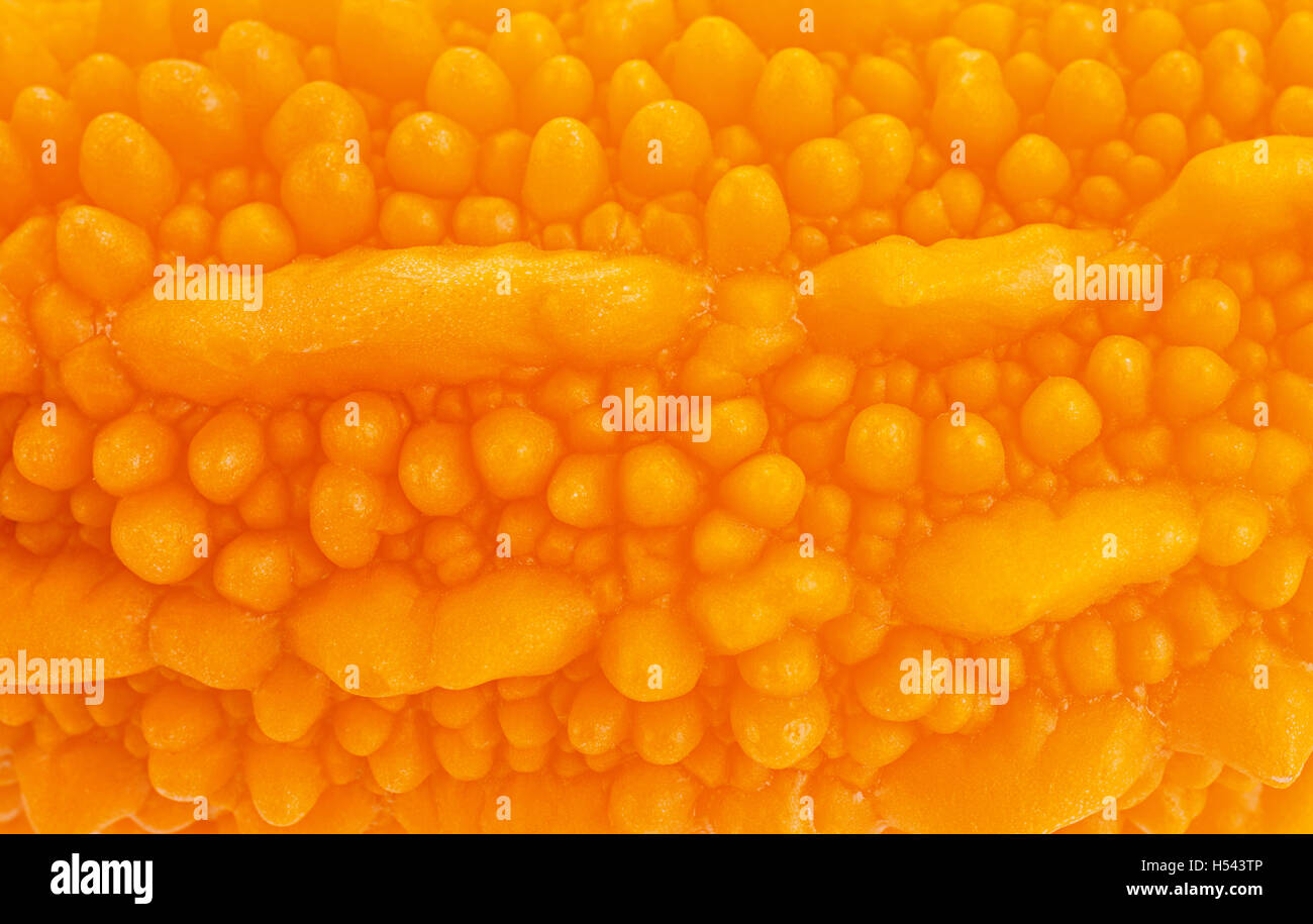 Ripe momordica vegetable skin closeup view background Stock Photo - Alamy