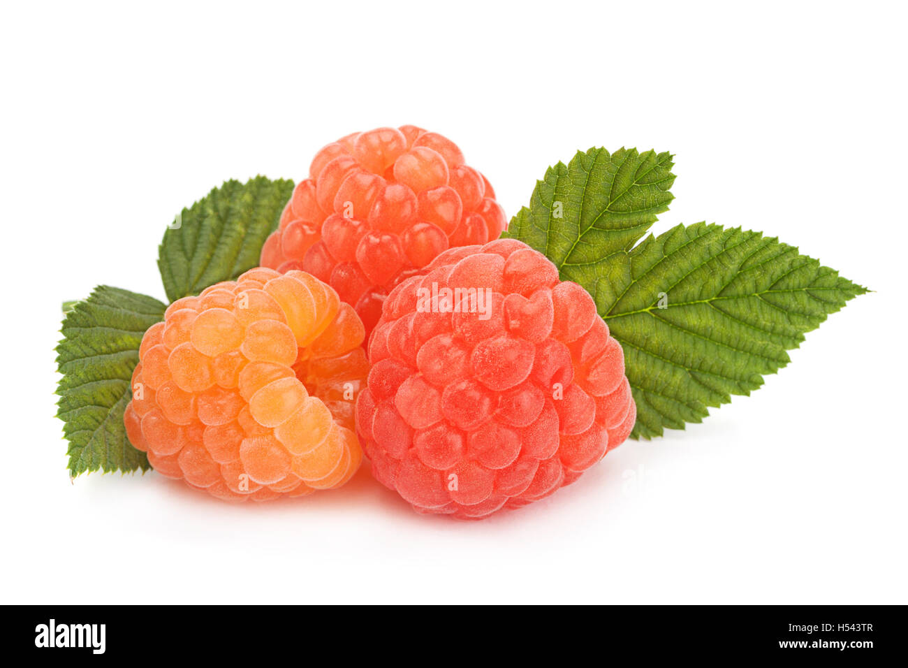 Rose raspberry fruit closeup isolated on white background Stock Photo ...
