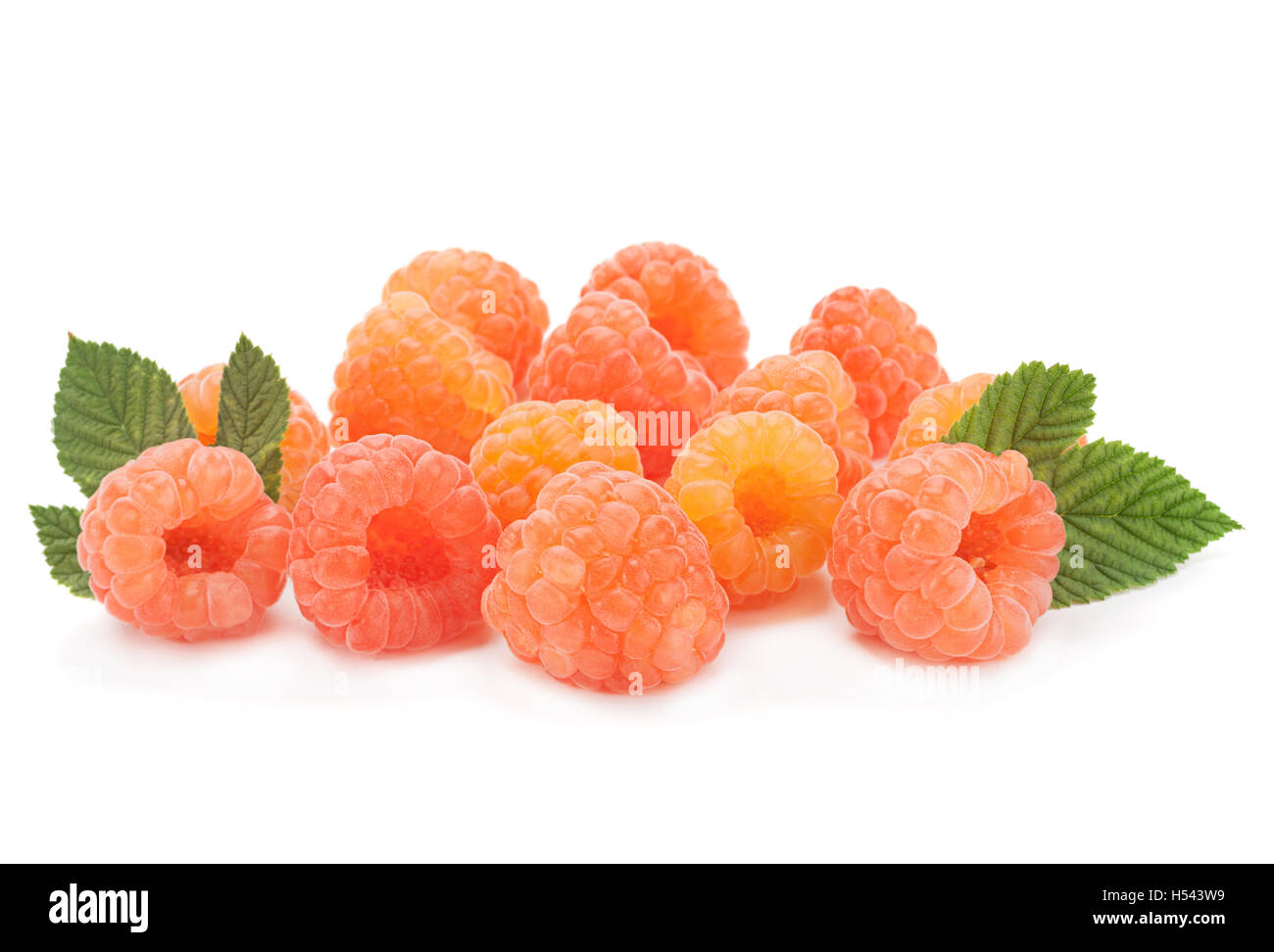 Rose raspberry fruit closeup isolated on white background Stock Photo ...