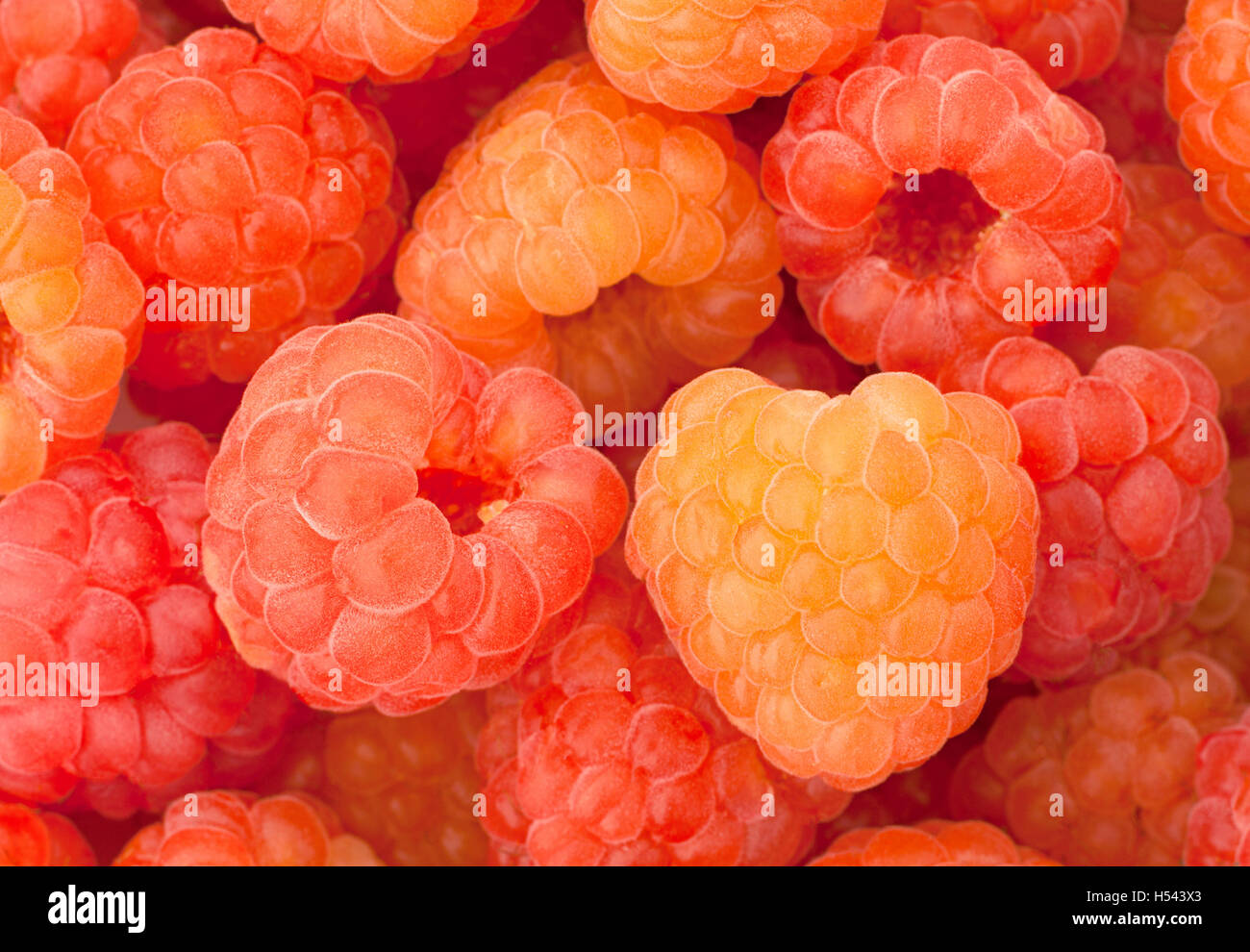 Orange Raspberries