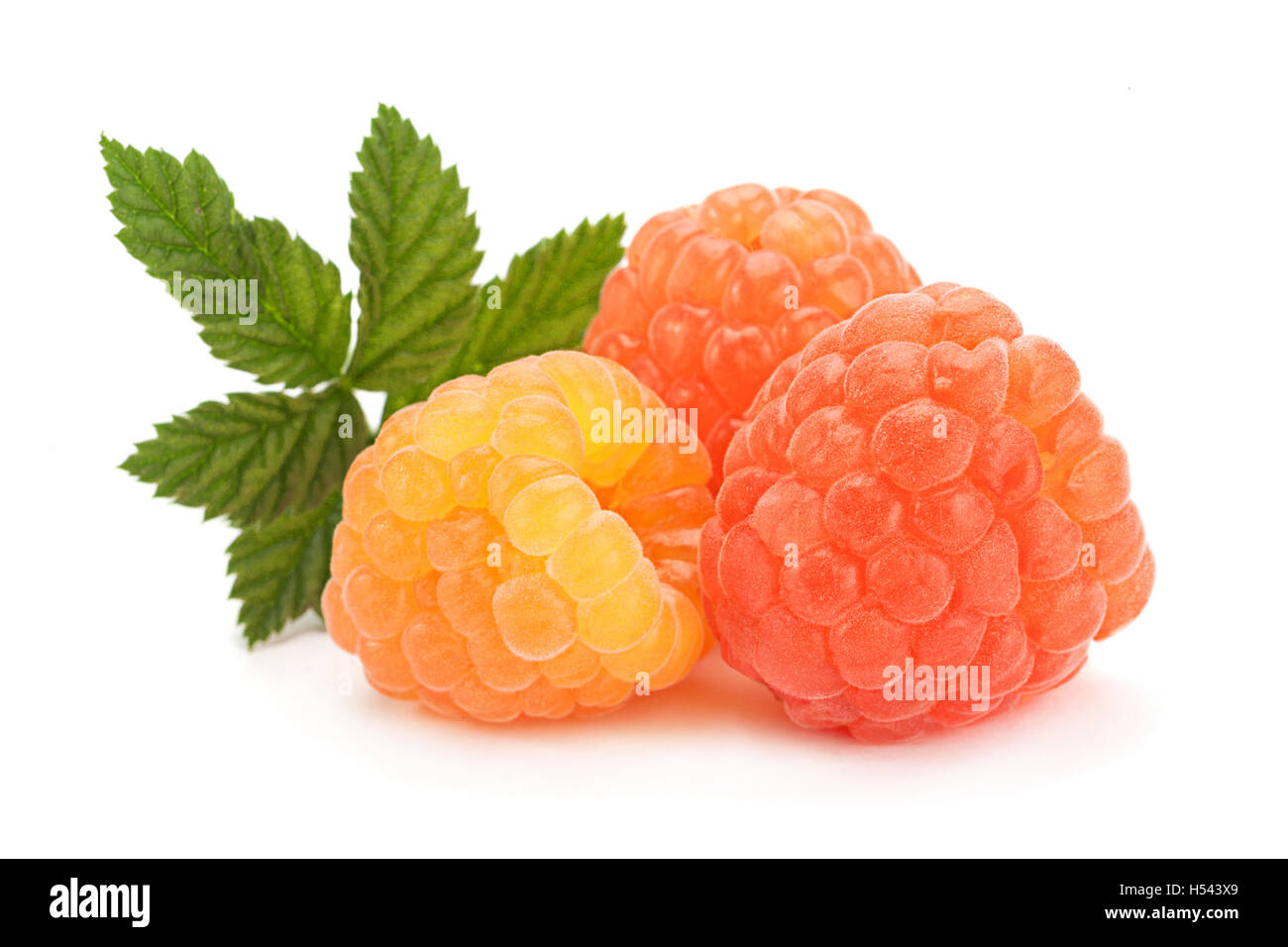 Rose raspberry fruit closeup isolated on white background Stock Photo ...