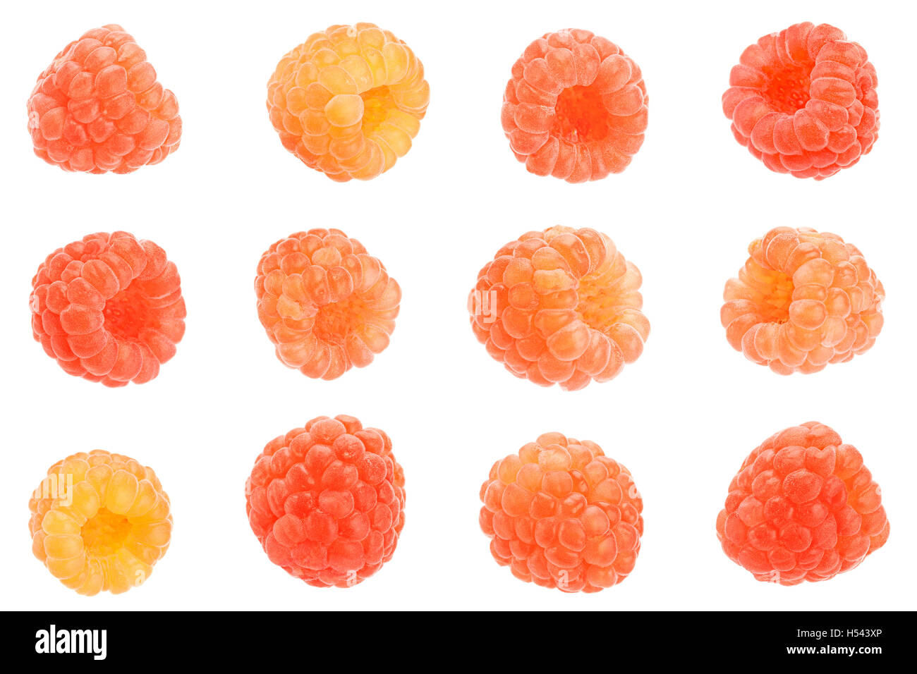 Rose raspberry set fruit closeup isolated on white background Stock ...