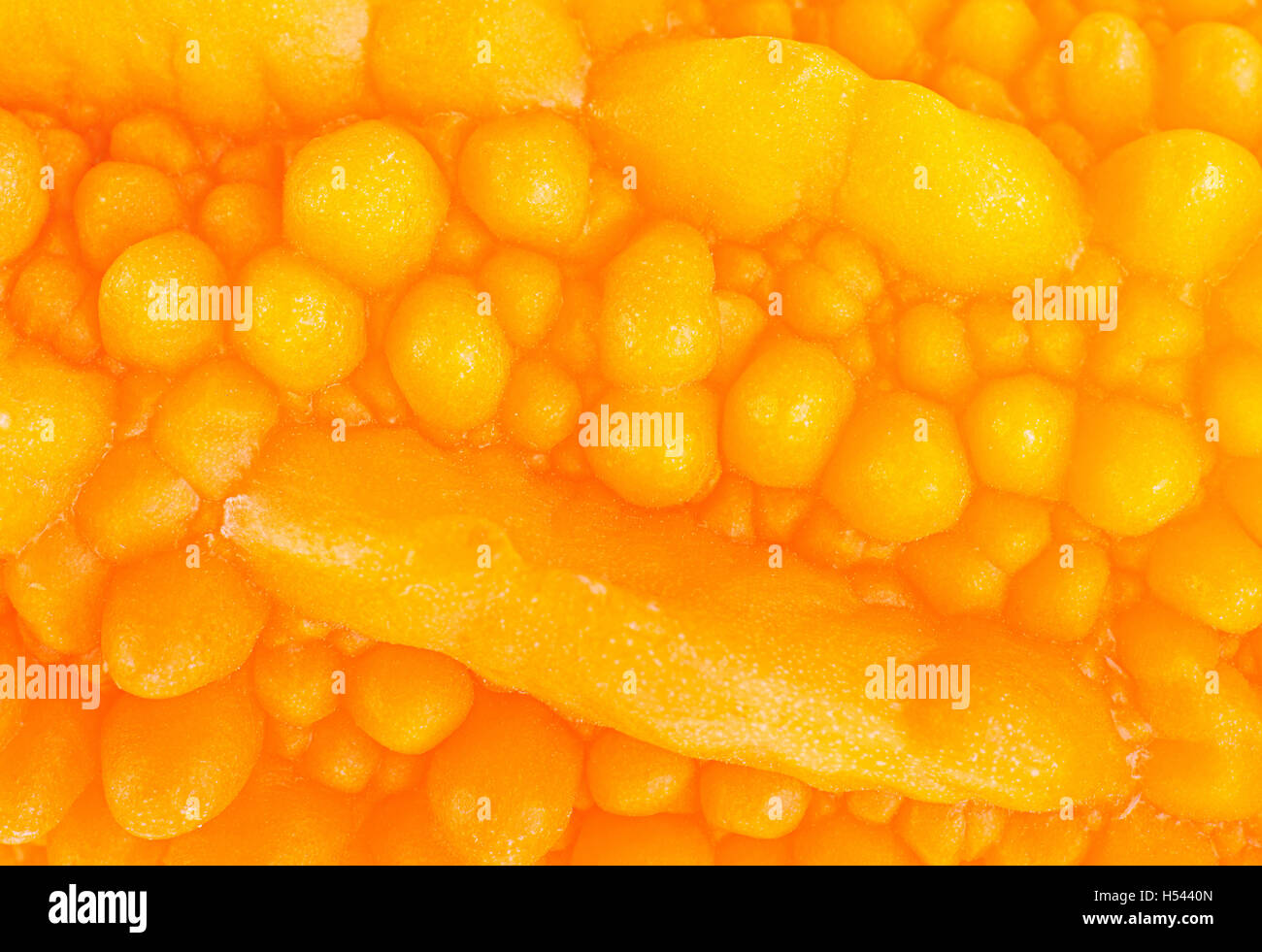 Ripe momordica vegetable skin closeup view background Stock Photo - Alamy