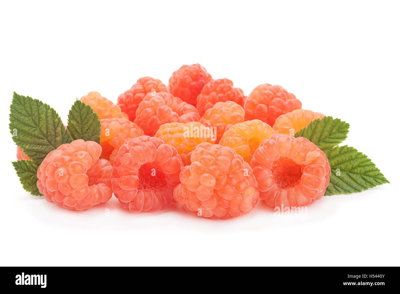 Rose raspberry fruit closeup isolated on white background Stock Photo ...