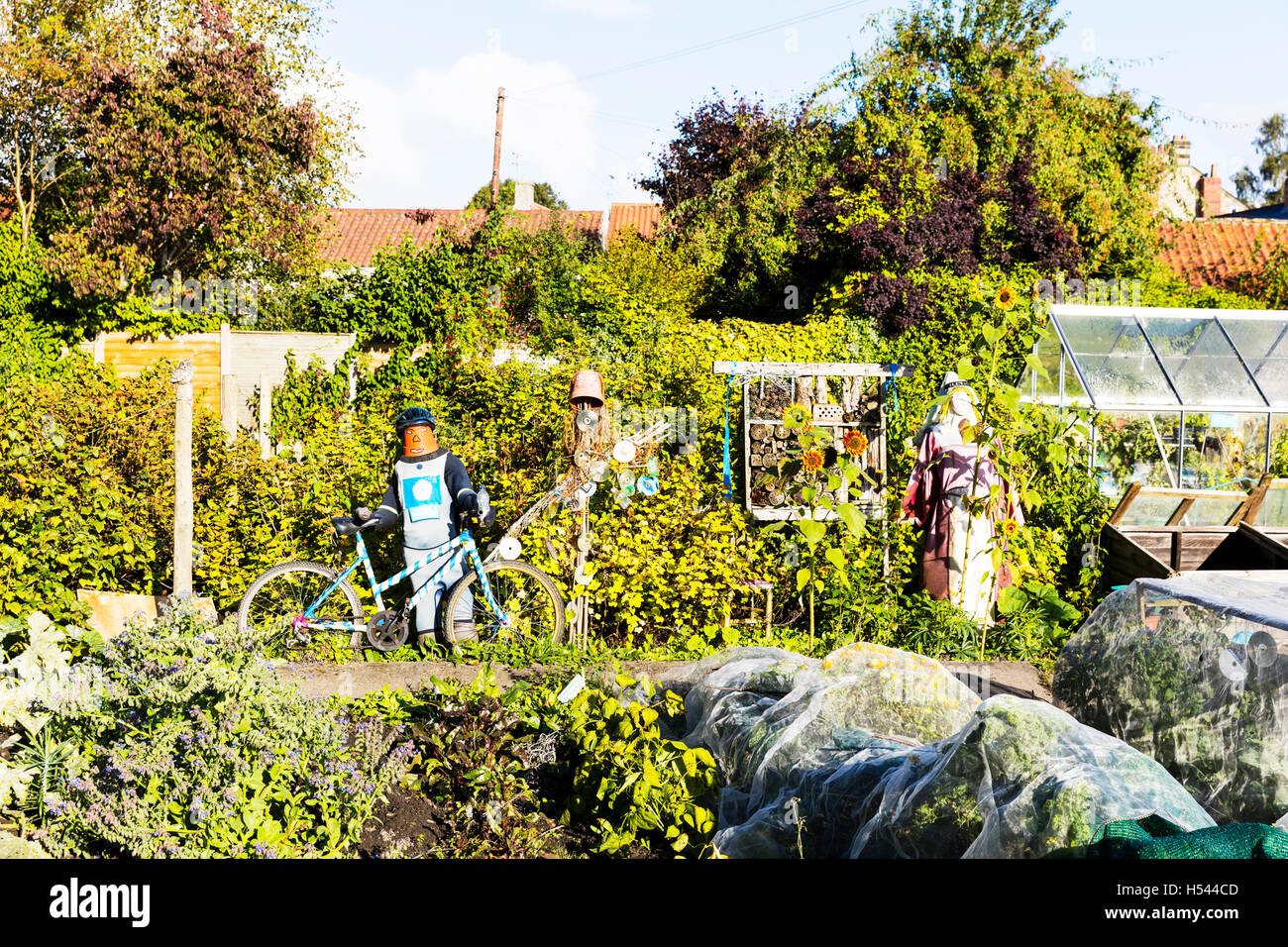 Allotment scarecrows vegetable patch patches gardens plants food UK ...