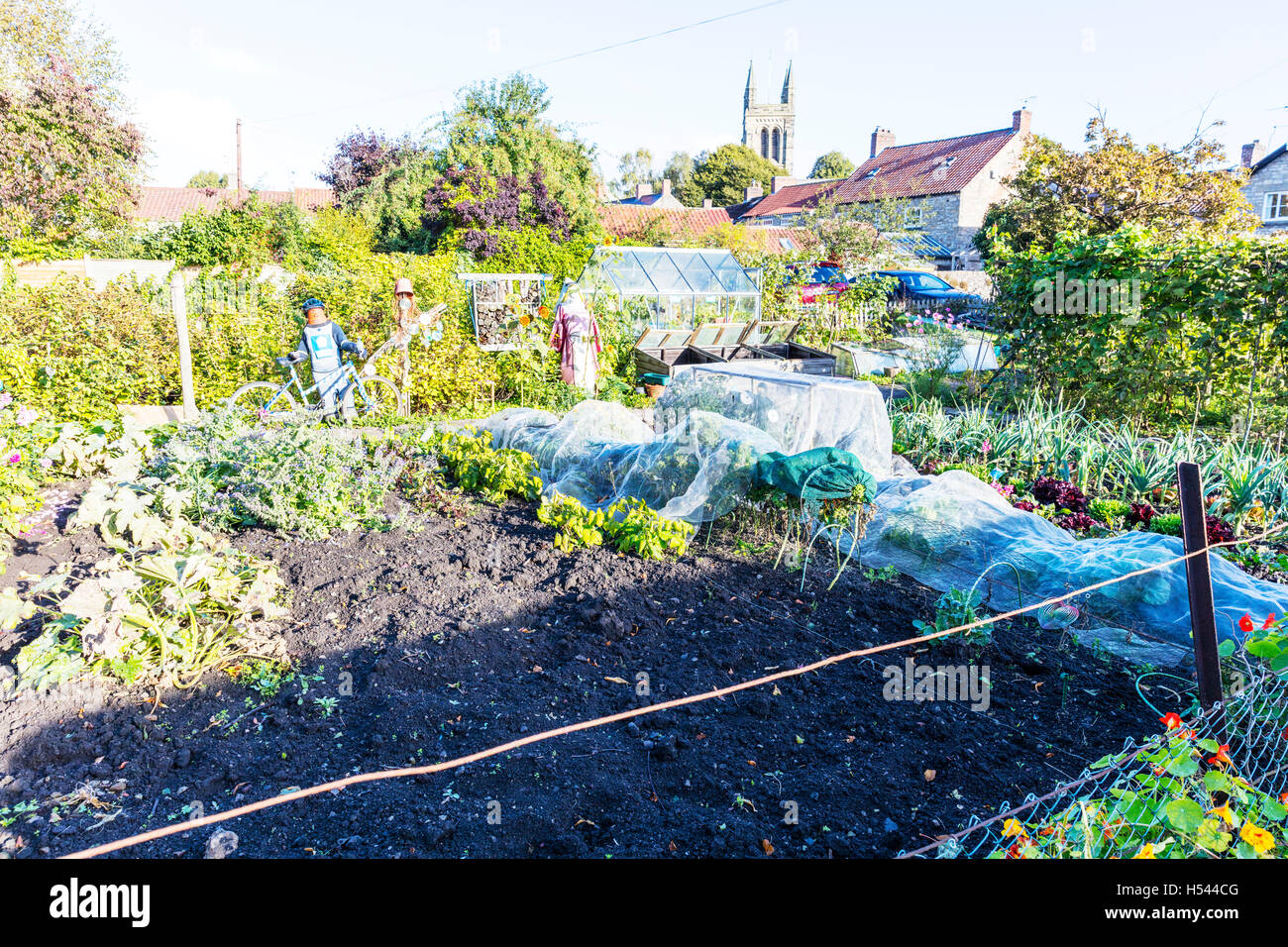 Vegetable patches hi-res stock photography and images - Alamy