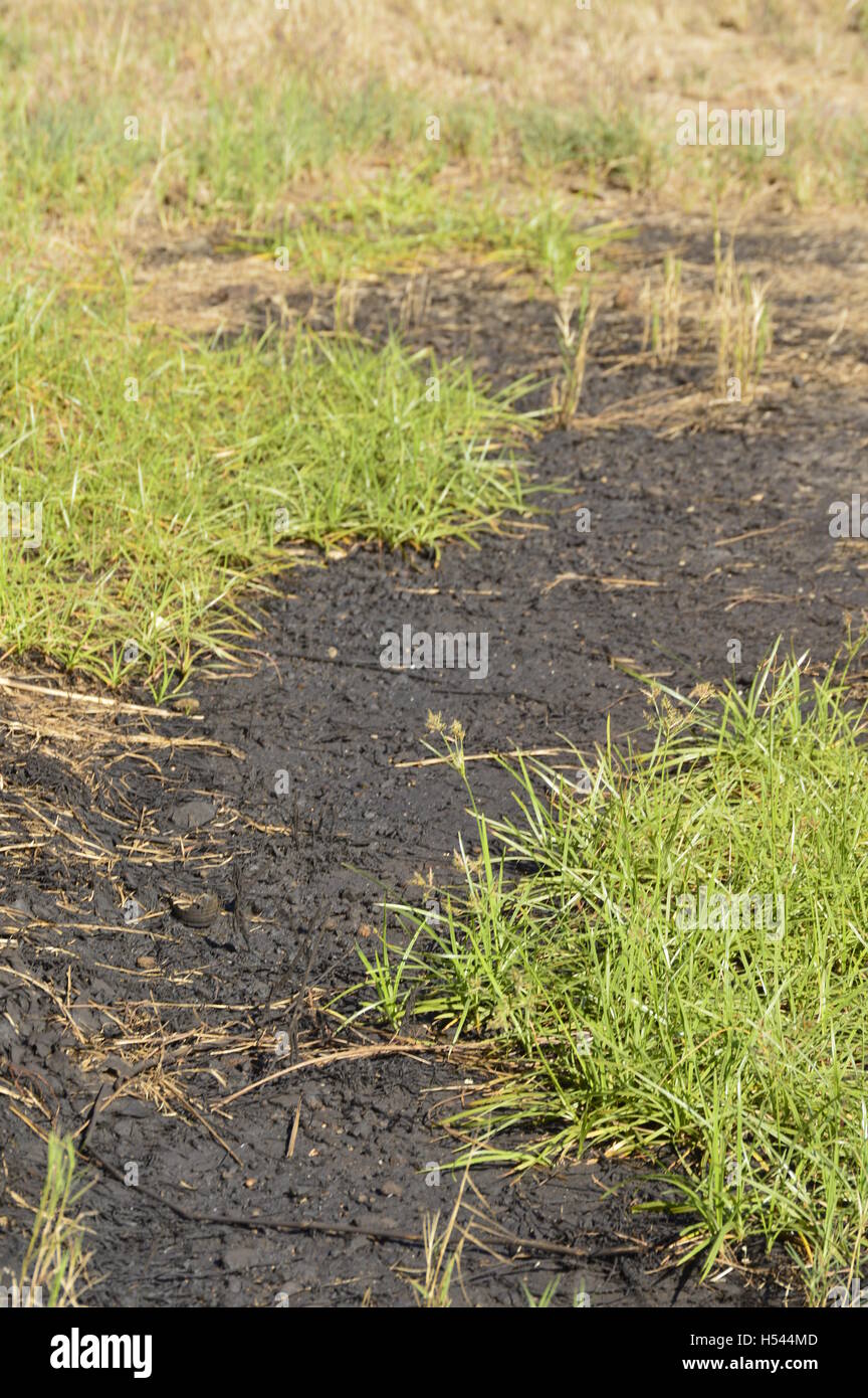 Land contaminated oil pollution hi-res stock photography and images - Alamy