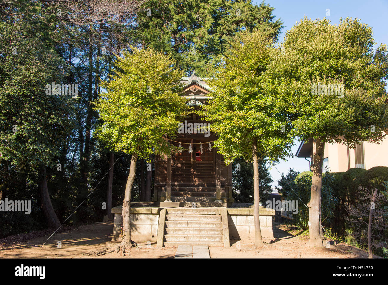 Konpira Jinja Shrine, Tama City, Tokyo, Japan Stock Photo - Alamy