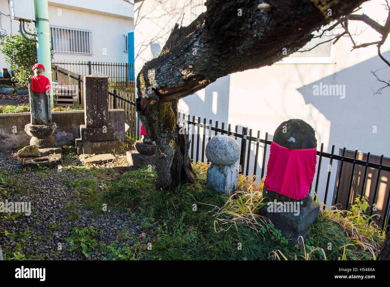 Tama Building High Resolution Stock Photography and Images - Alamy