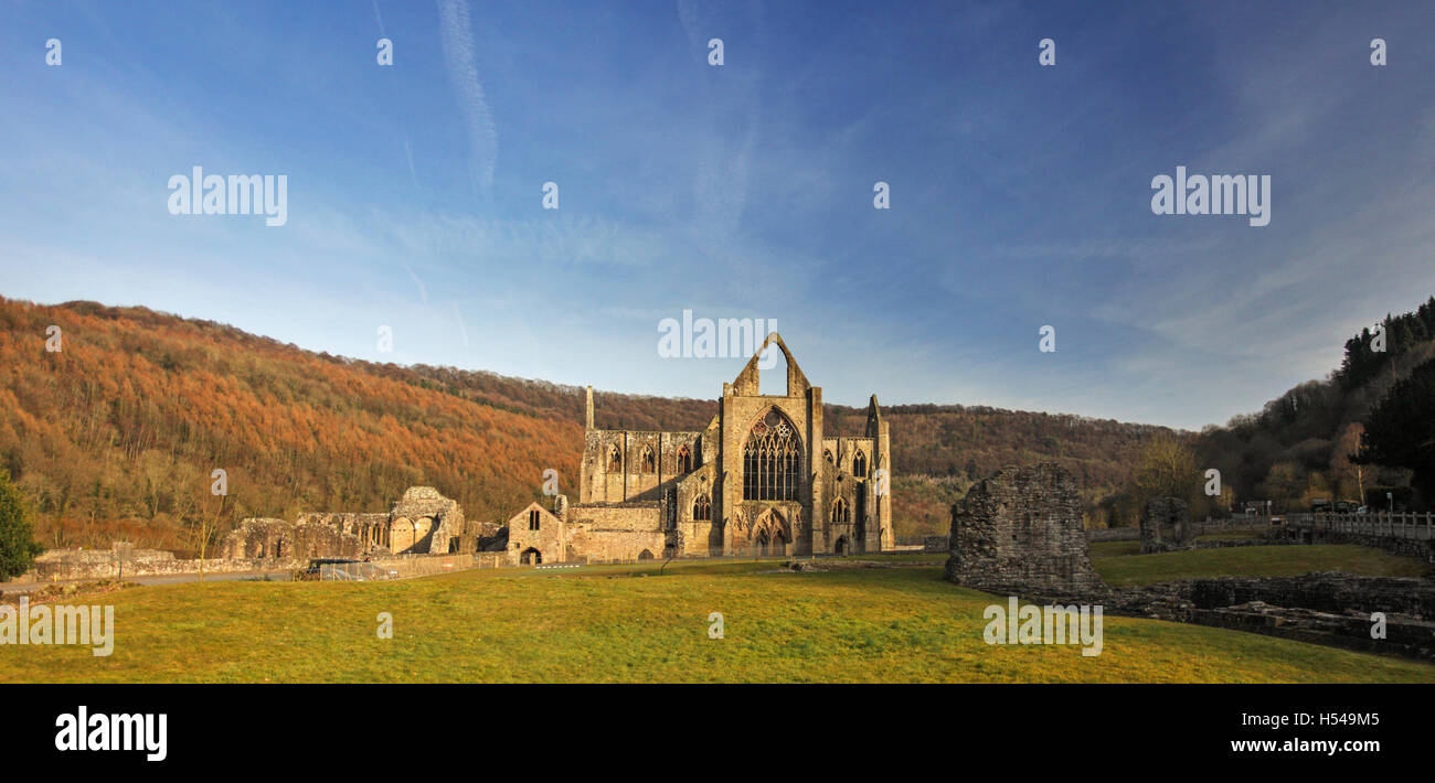 Tintern Abbey, Wales. British seasons - Autumn in the Forest of Dean ...